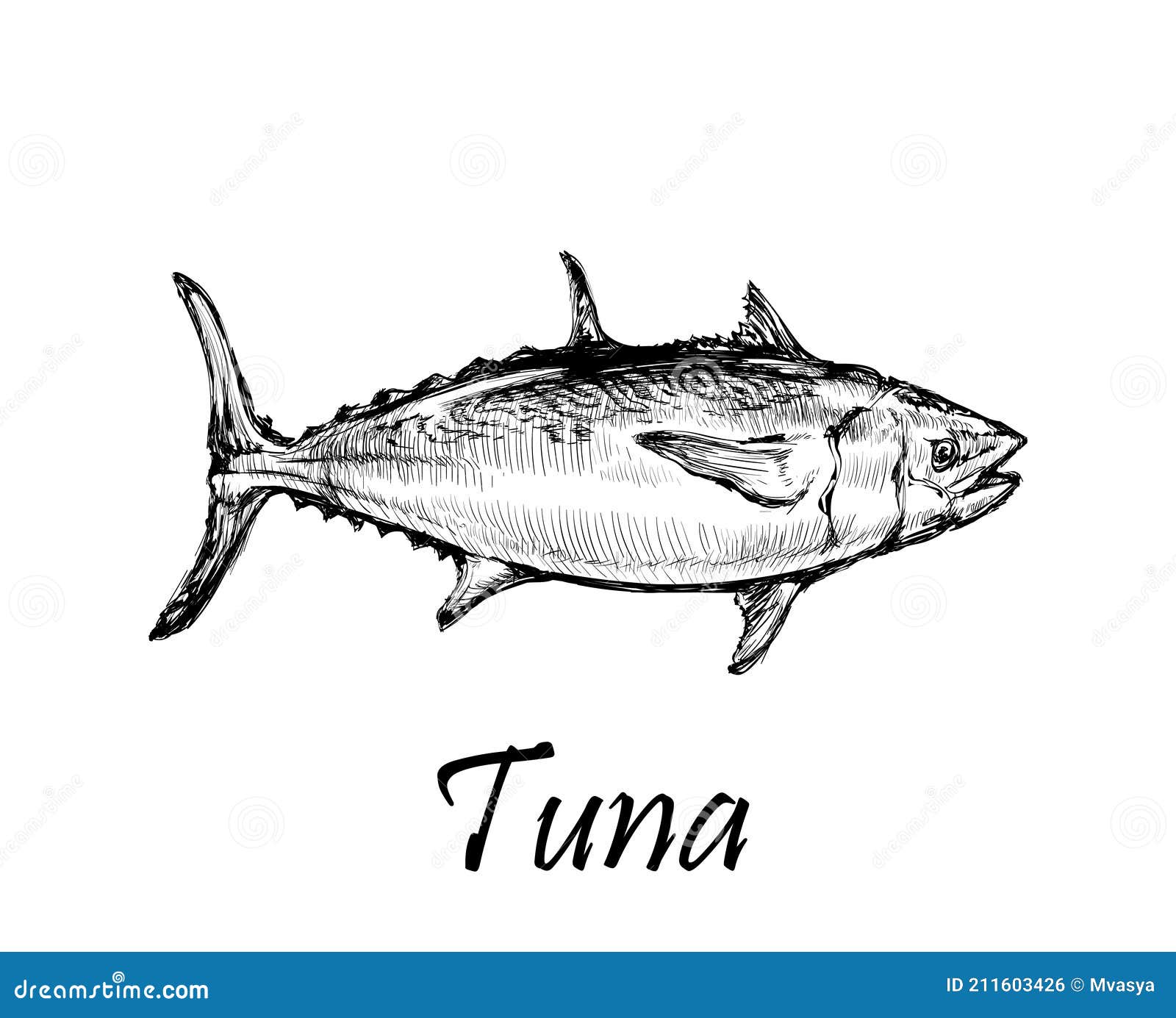 Desenho Do Vetor De Desenho Do Atum Ilustração do Vetor - Ilustração de ...