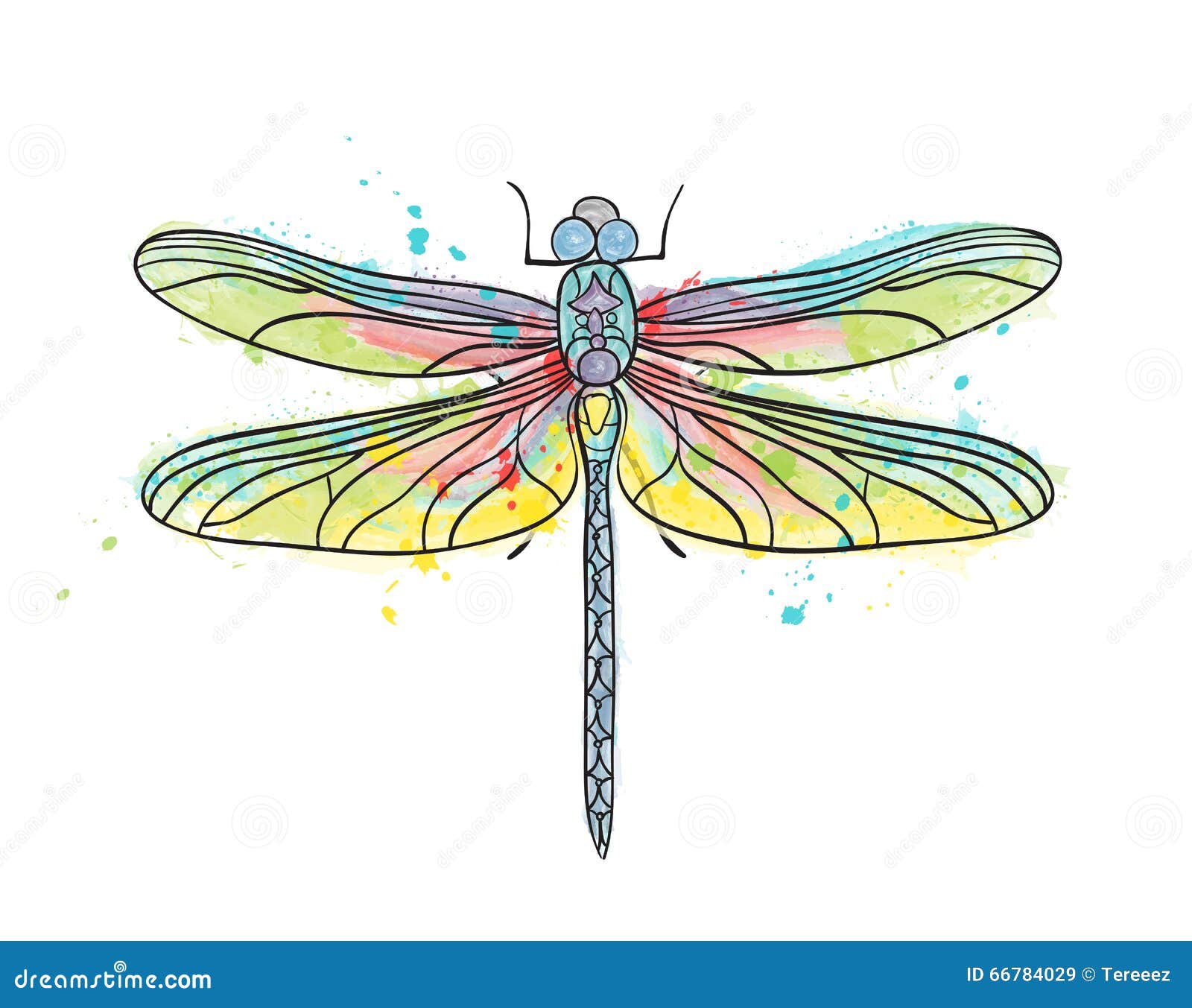 Desenho Isolado Da Aquarela Da Libélula Ilustração do Vetor ...