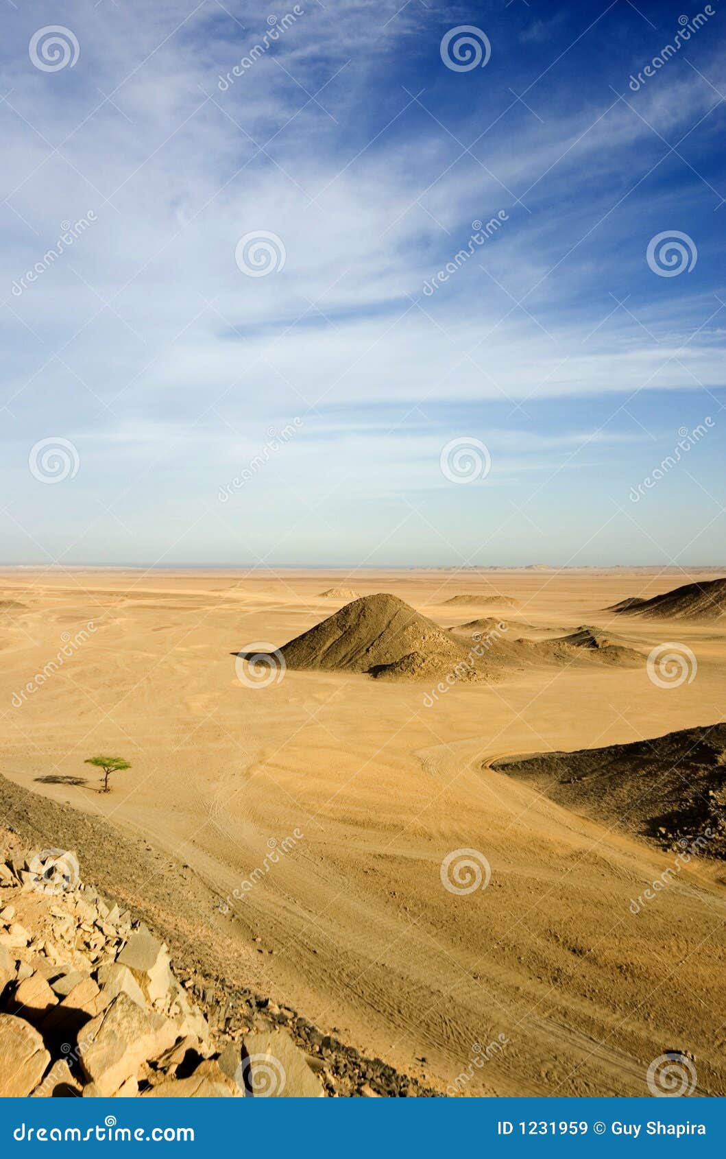 Desert stock image. Image of lonely, golden, dunes, vacation - 1231959