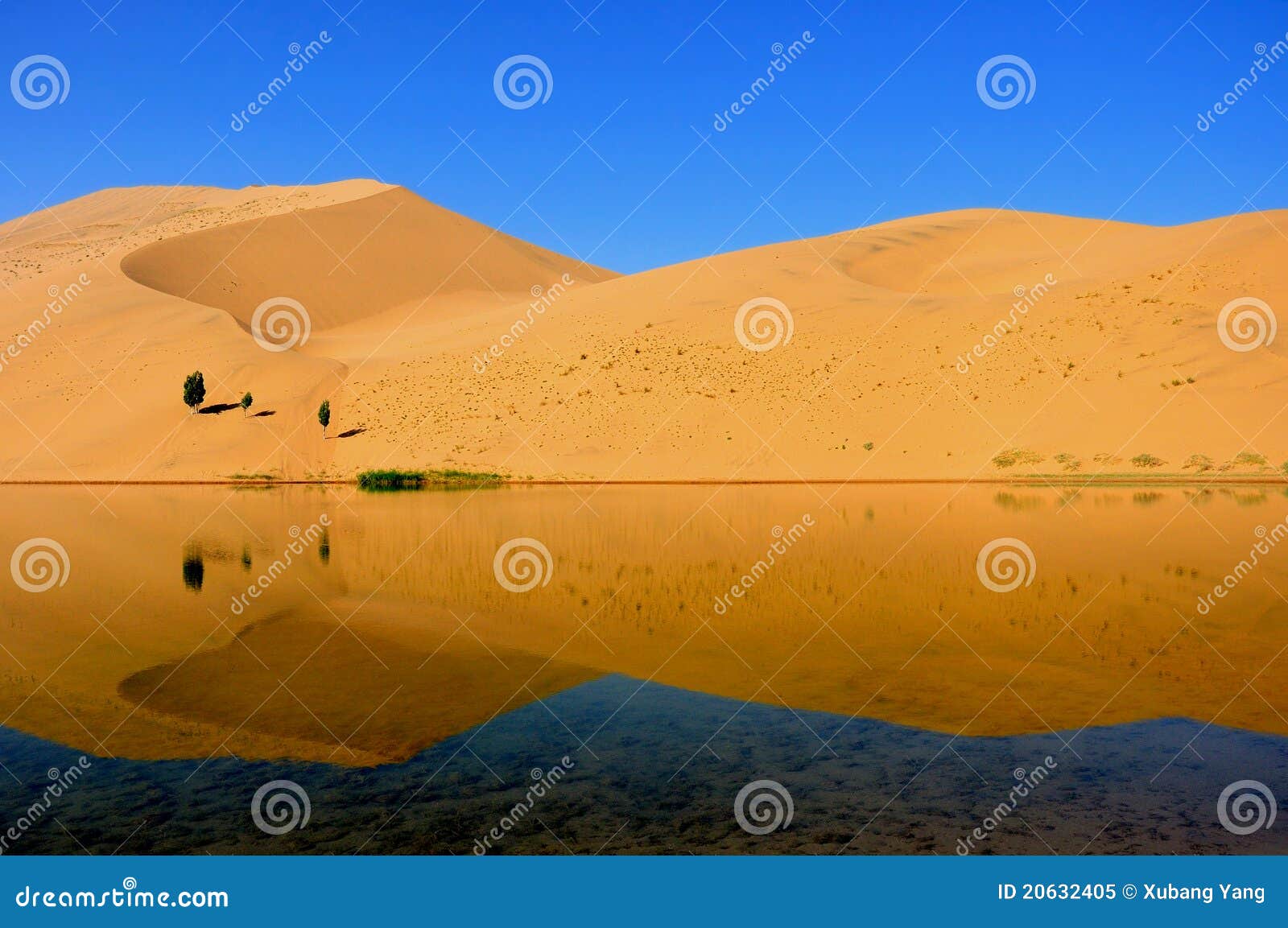 Desert stock image. Image of marks, inverted, nature - 20632405