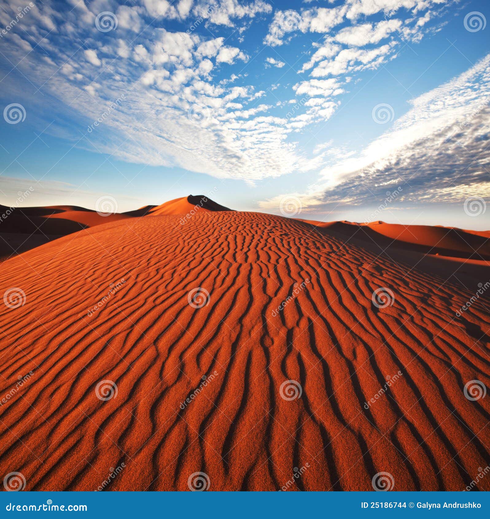 Desert stock photo. Image of desert, dune, travel, hummock - 25186744