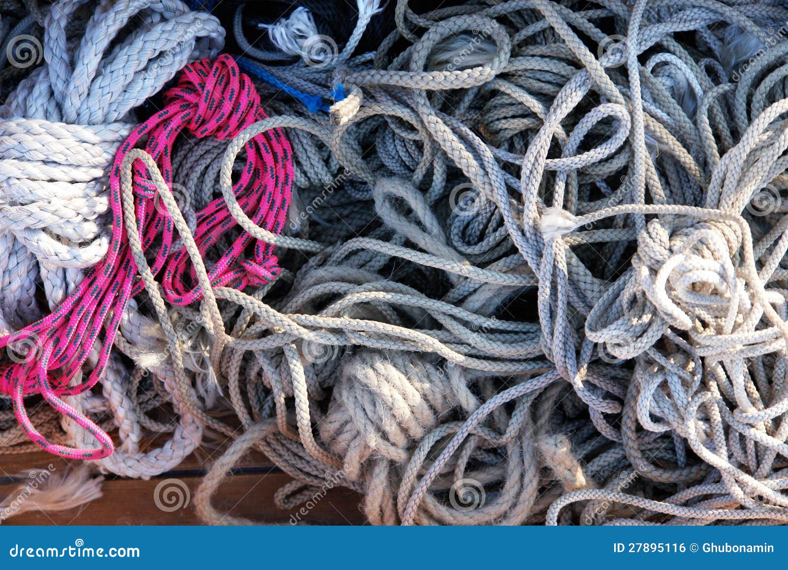 Desert stock photo. Image of rope, tightrope, bridles - 27895116