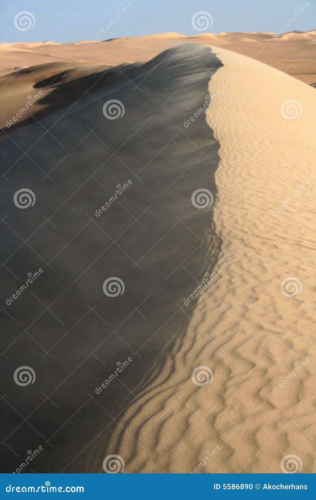 Desert stock photo. Image of desert, calm, light, egypt - 5586890