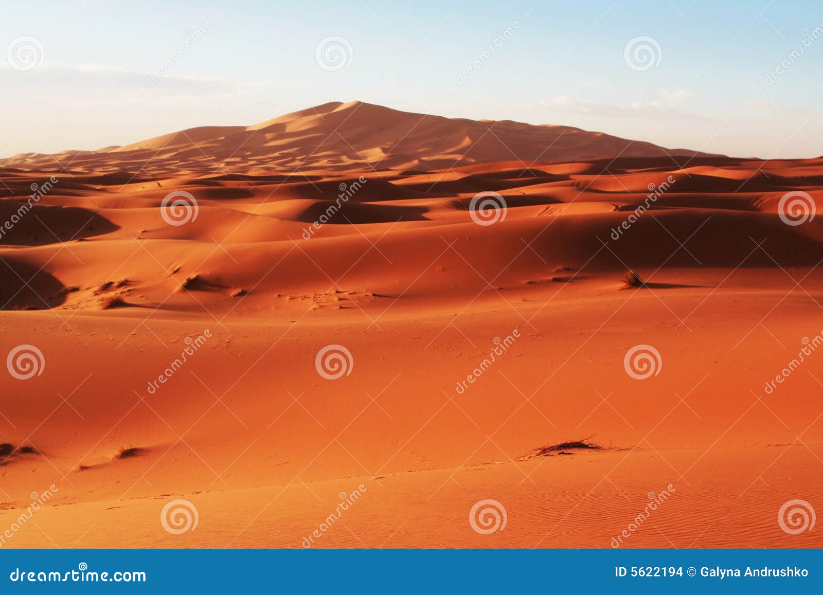 Desert stock photo. Image of africa, dune, hummock, grass - 5622194
