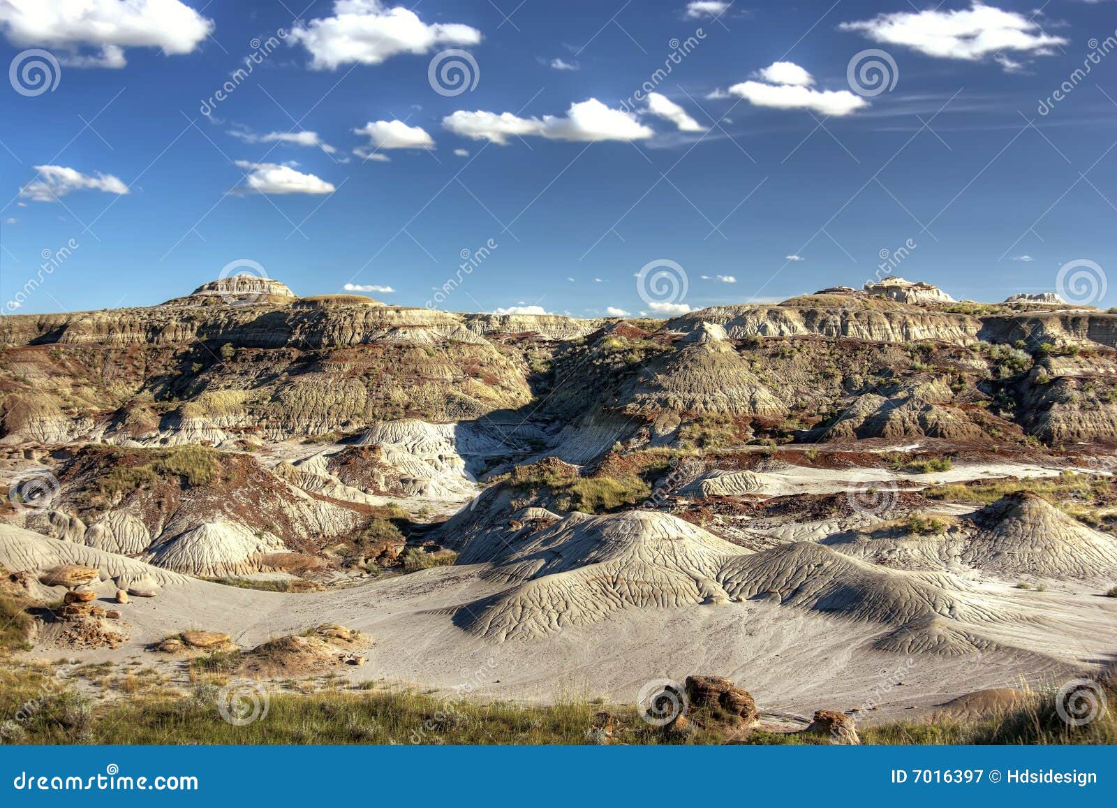 Desert stock image. Image of adventure, alberta, kanada - 7016397