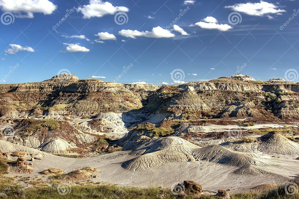 Desert stock image. Image of adventure, alberta, kanada - 7016397