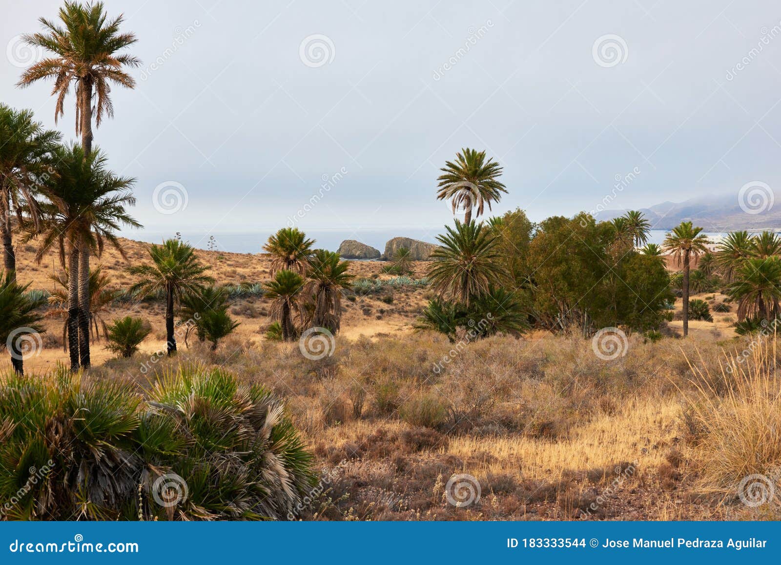 The desert of Almeria stock photo. Image of landscape - 183333544