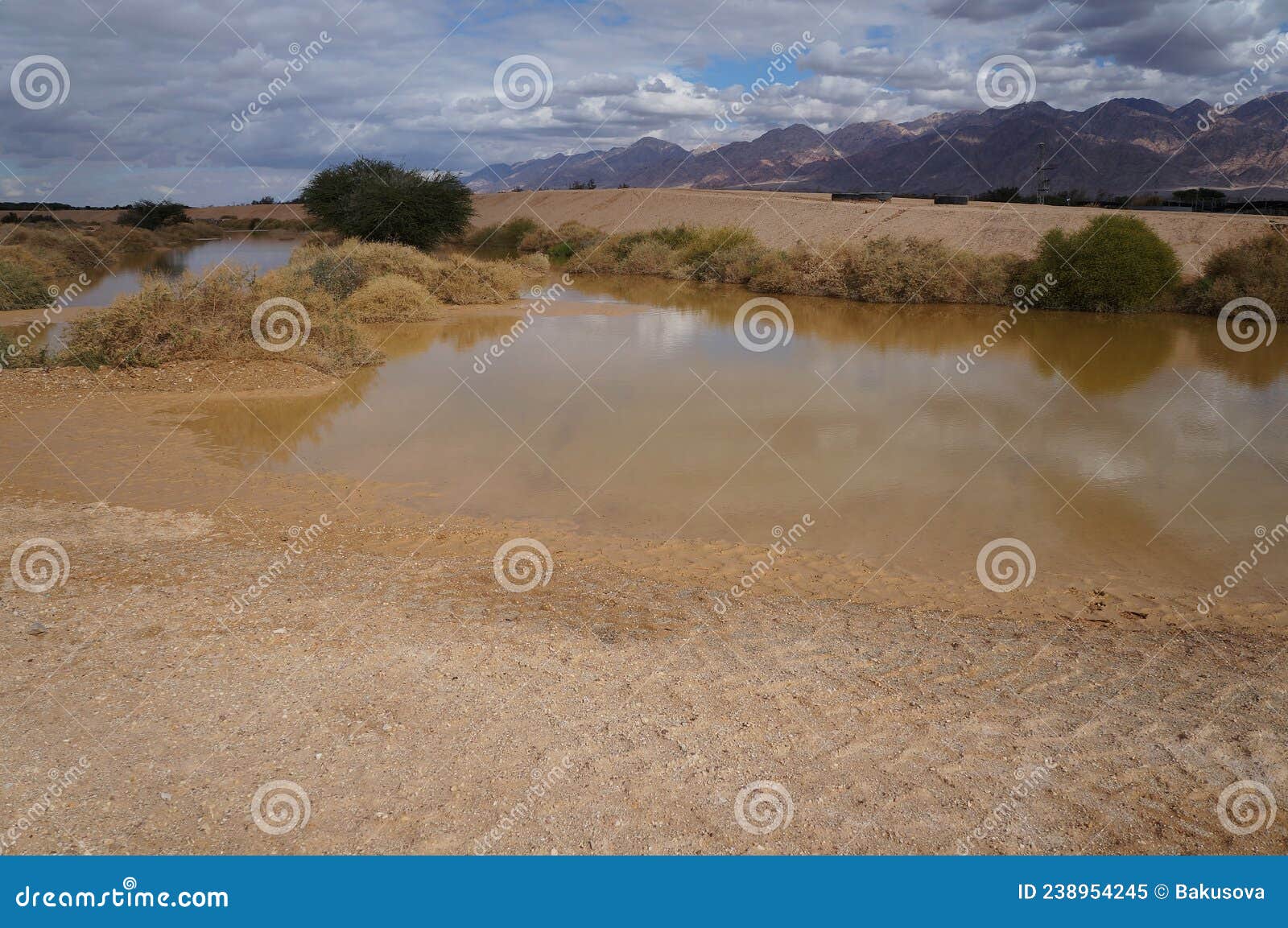 Desert Arava with Puddles after Rain Stock Image - Image of desert ...