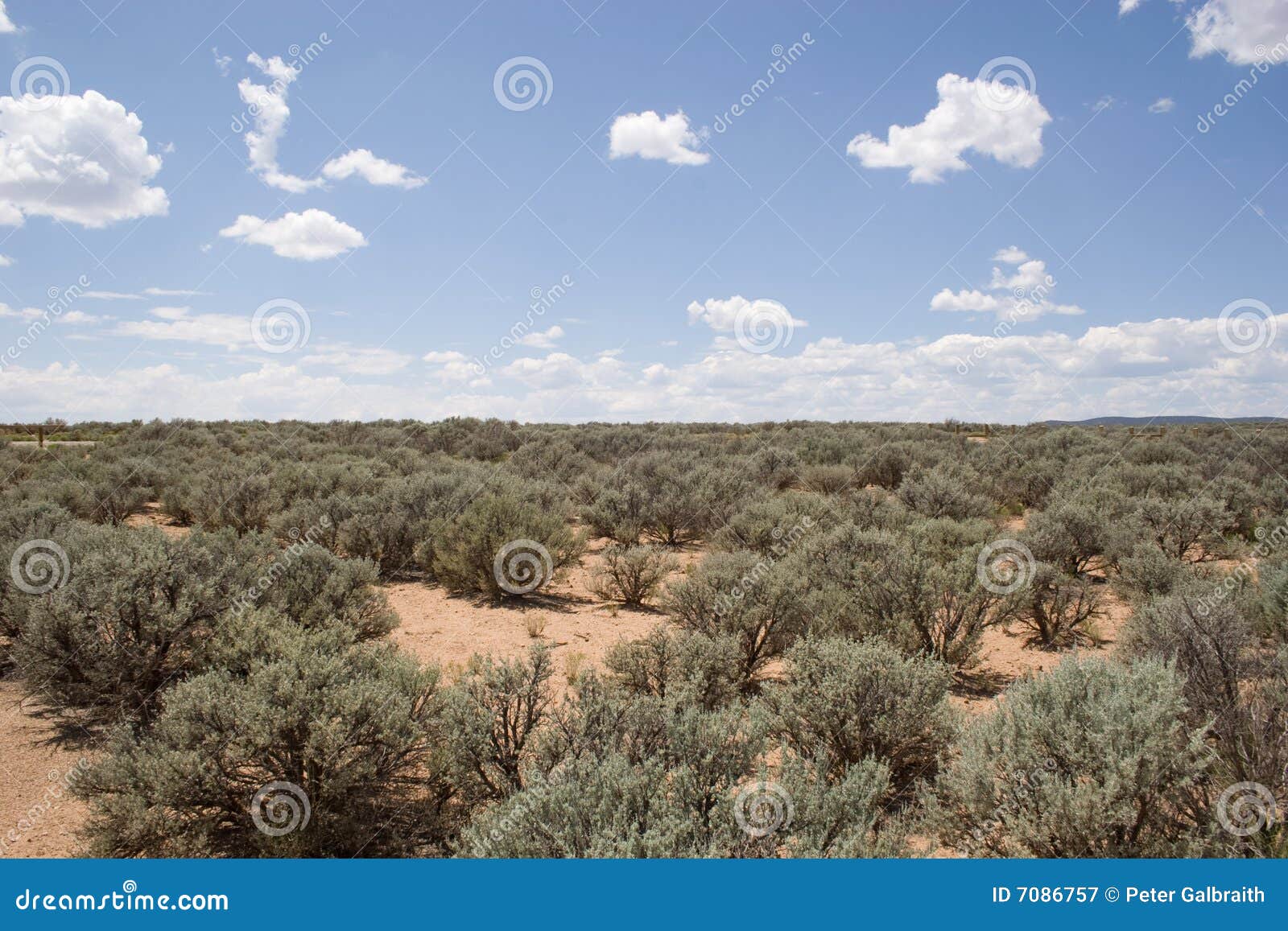 Desert area stock image. Image of southwest, sand, geologic - 7086757