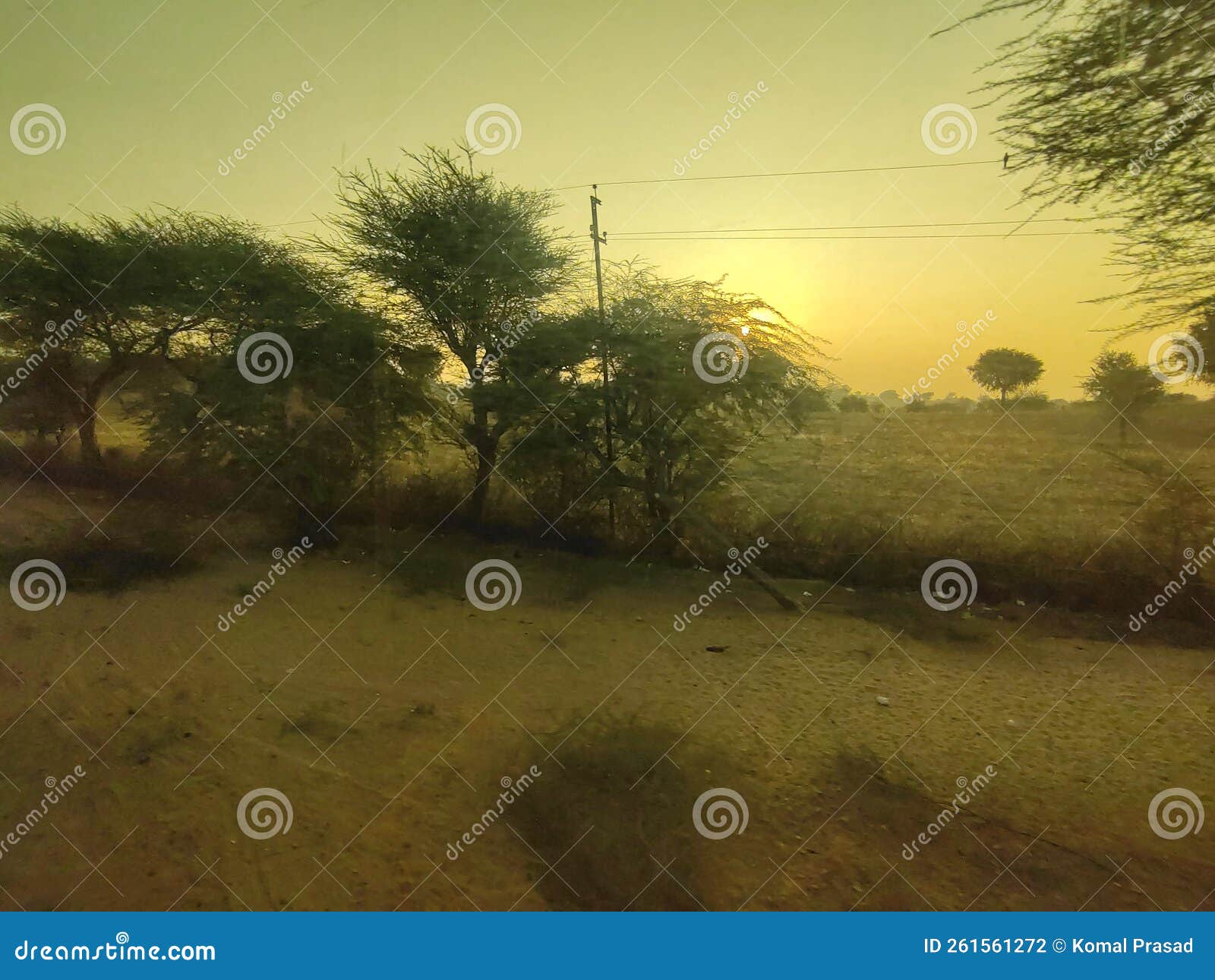 Desert Area of Rajasthan India Stock Photo - Image of evening ...