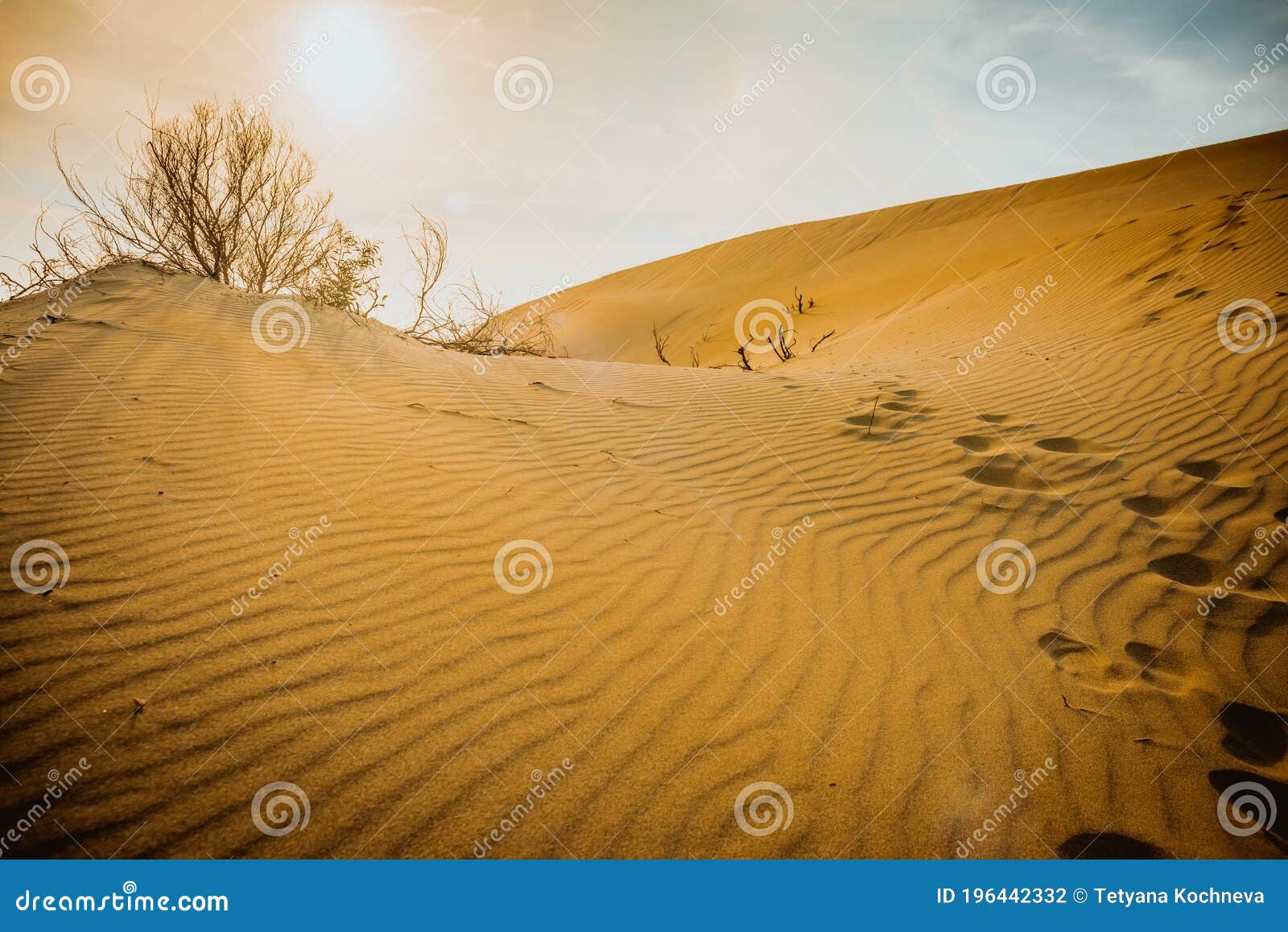 Desert Background Stock Photography | CartoonDealer.com #51601352