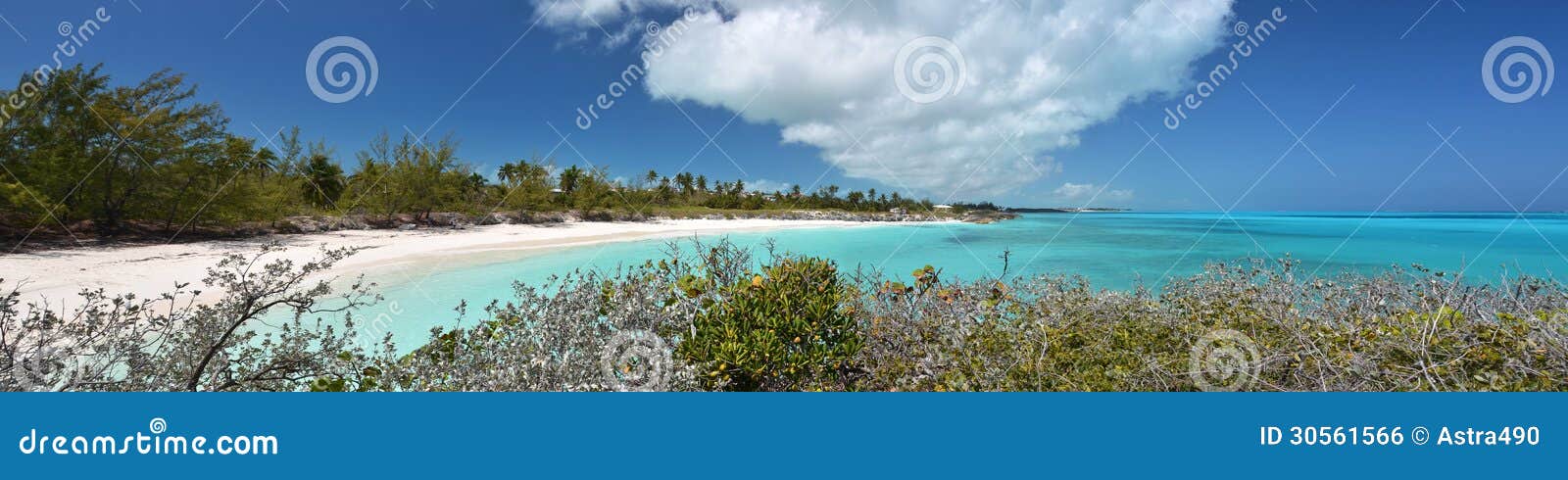 Desert Beach of Little Exuma Stock Photo - Image of resort, tree: 30561566