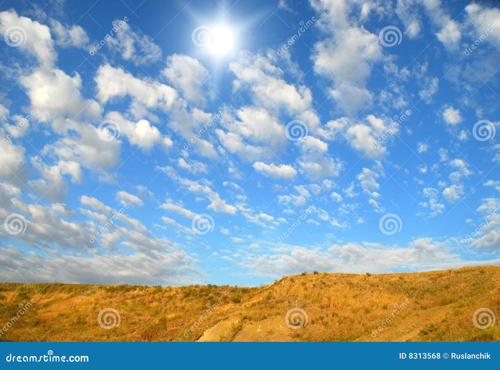 Desert and blue sky stock photo. Image of green, season - 8313568