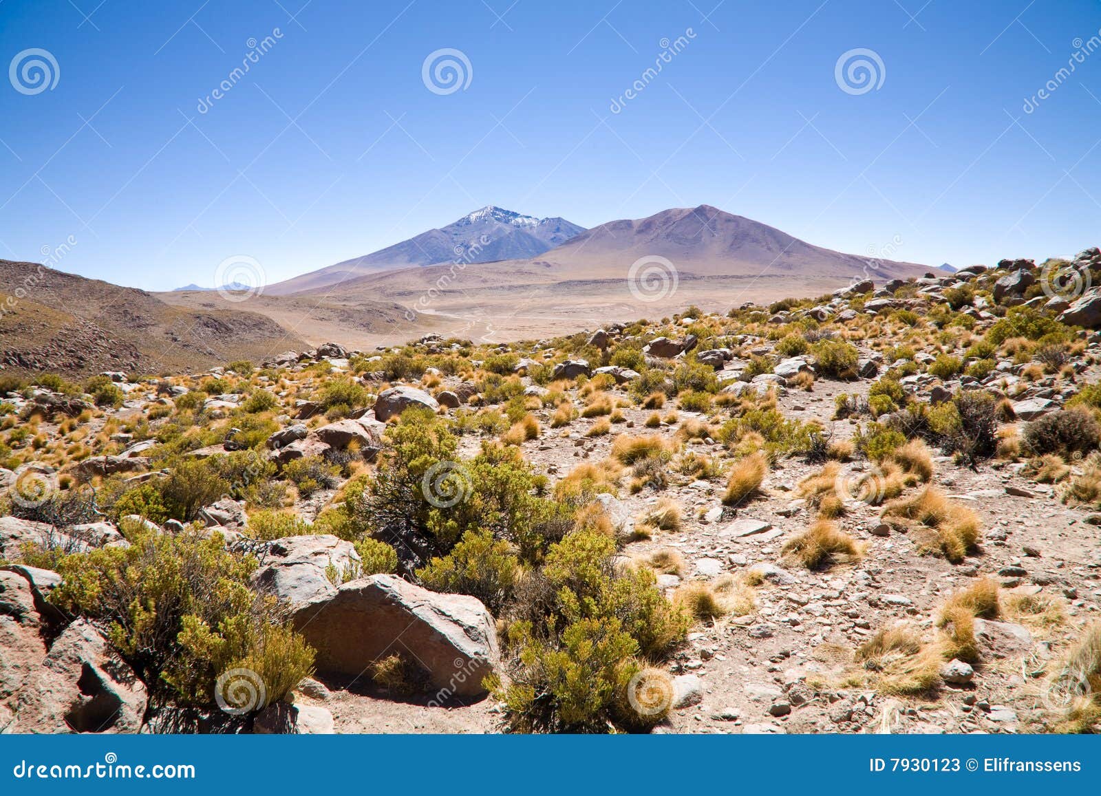 Desert, Bolivia stock image. Image of volcanic, bolivia - 7930123