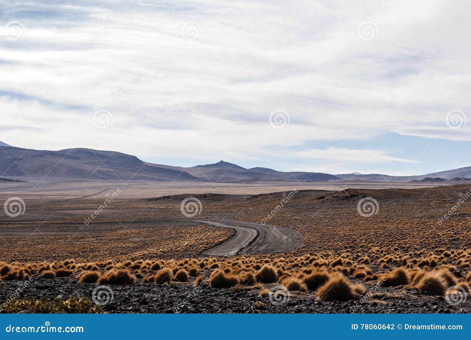 Desert in Bolivia stock photo. Image of south, bolivian - 78060642