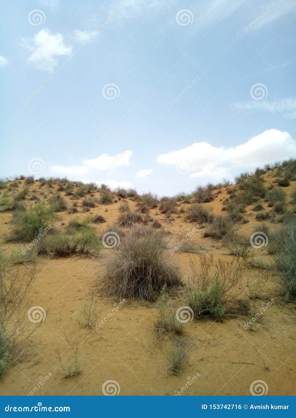 Desert and brambles stock photo. Image of clouds, brambles - 153742716