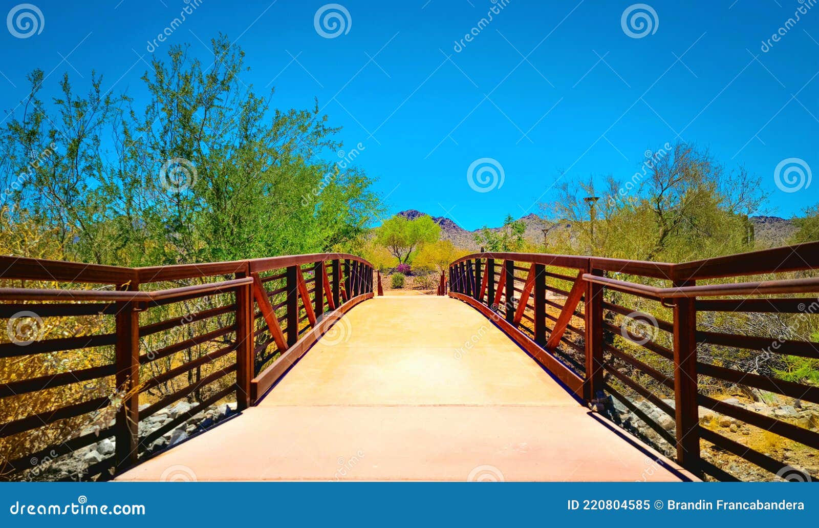 Desert Bridge in the sun stock image. Image of house - 220804585