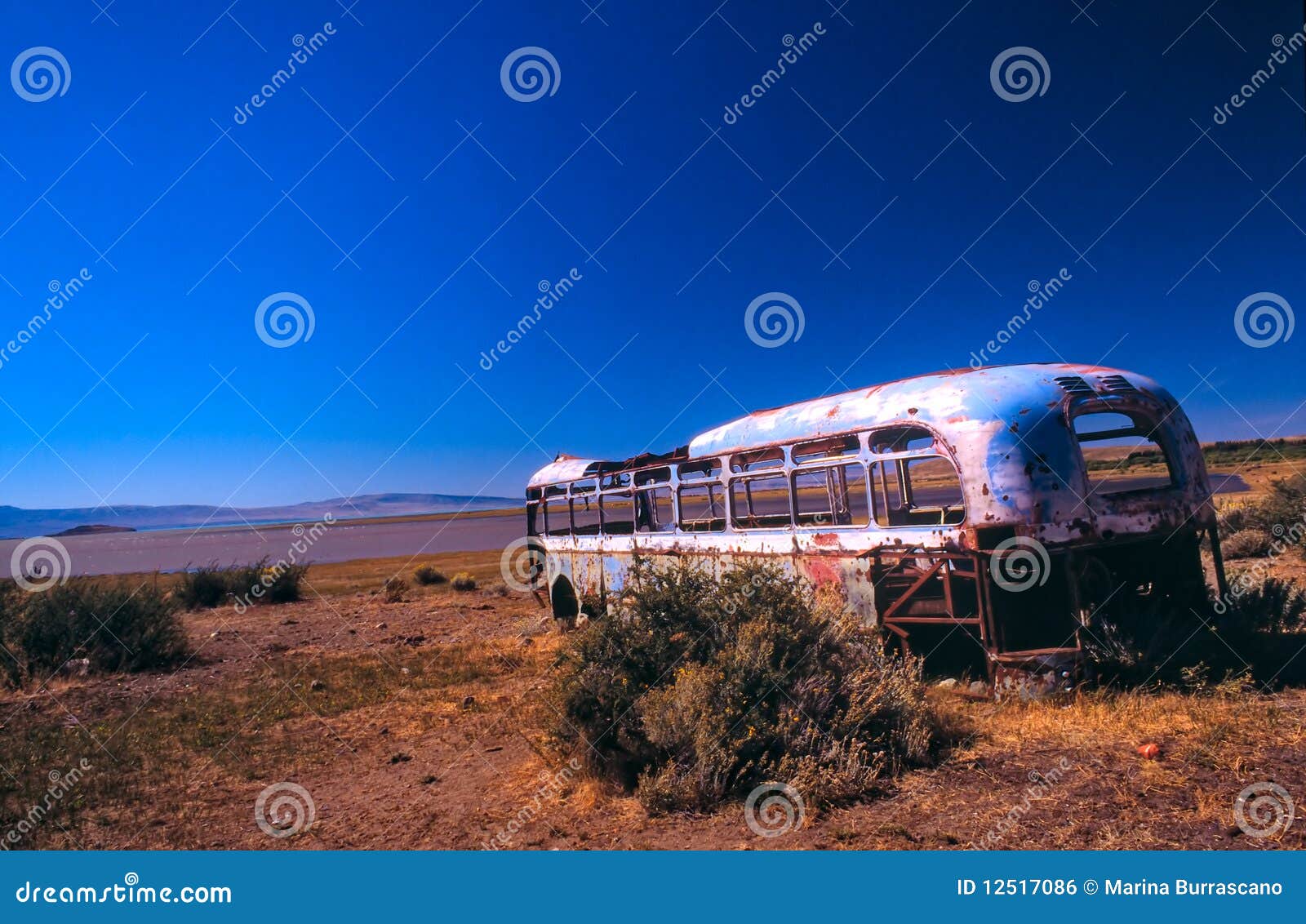 Desert bus stock photo. Image of junker, forgotten, derelict - 12517086