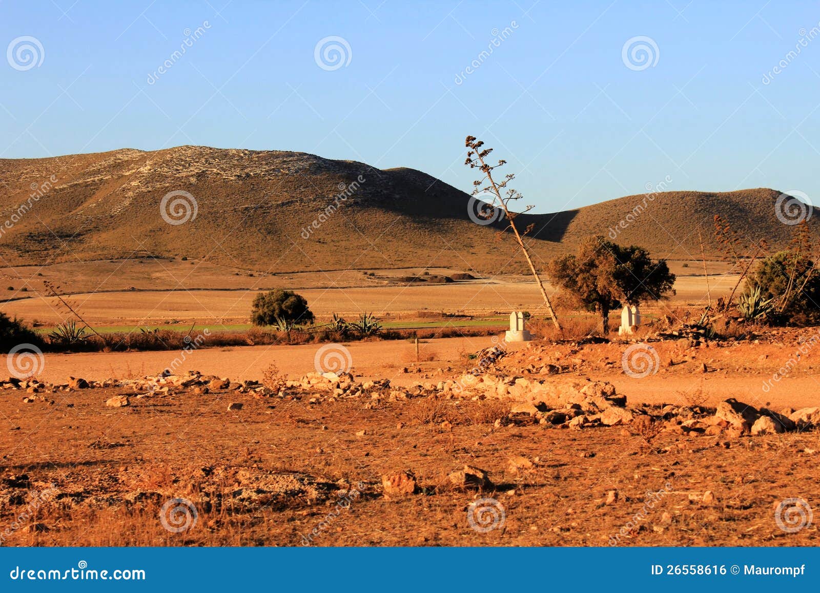 DESERT of CABO DE GATA stock photo. Image of almeria - 26558616