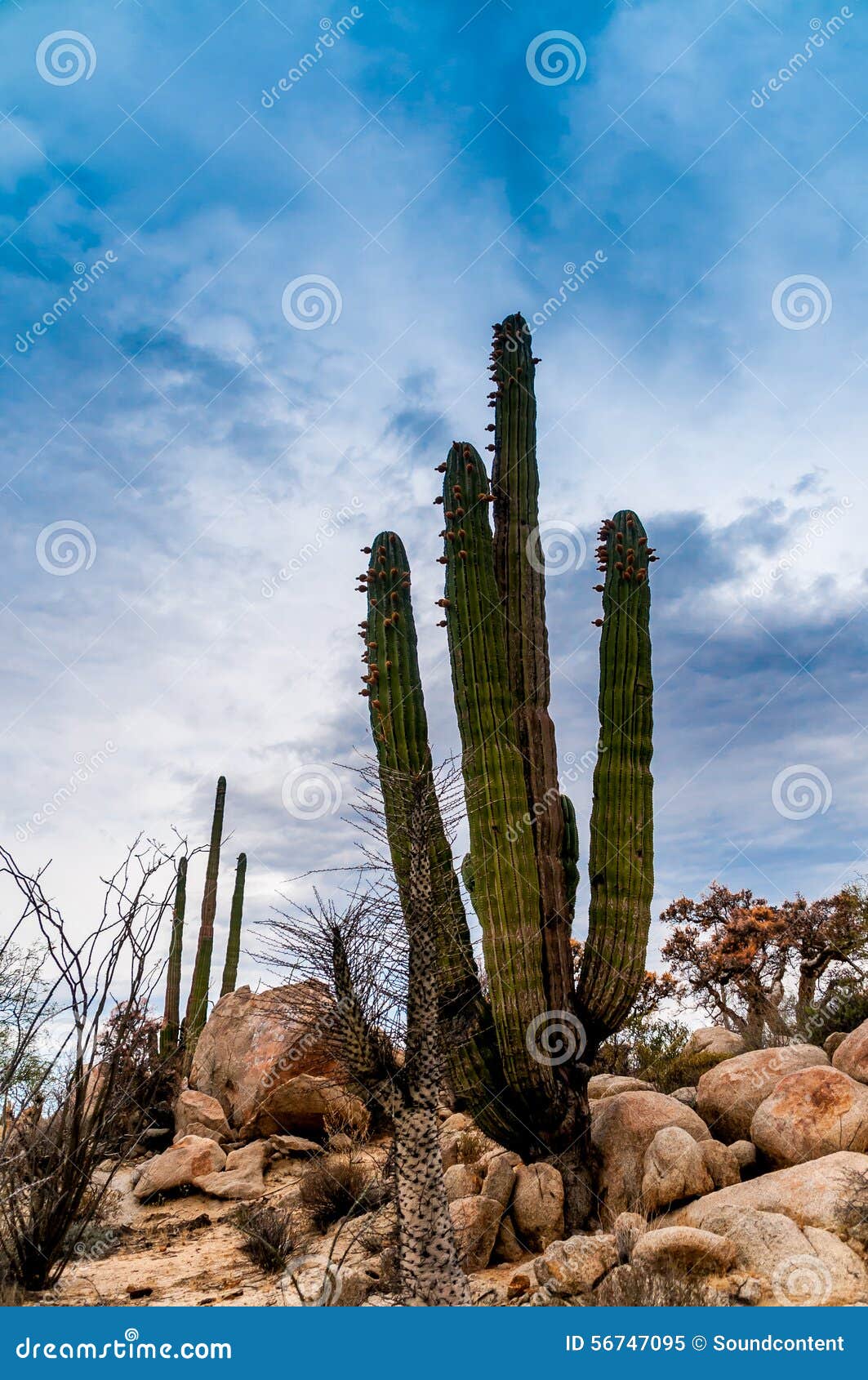 227 Overhead Desert Rocks Stock Photos - Free & Royalty-Free Stock ...