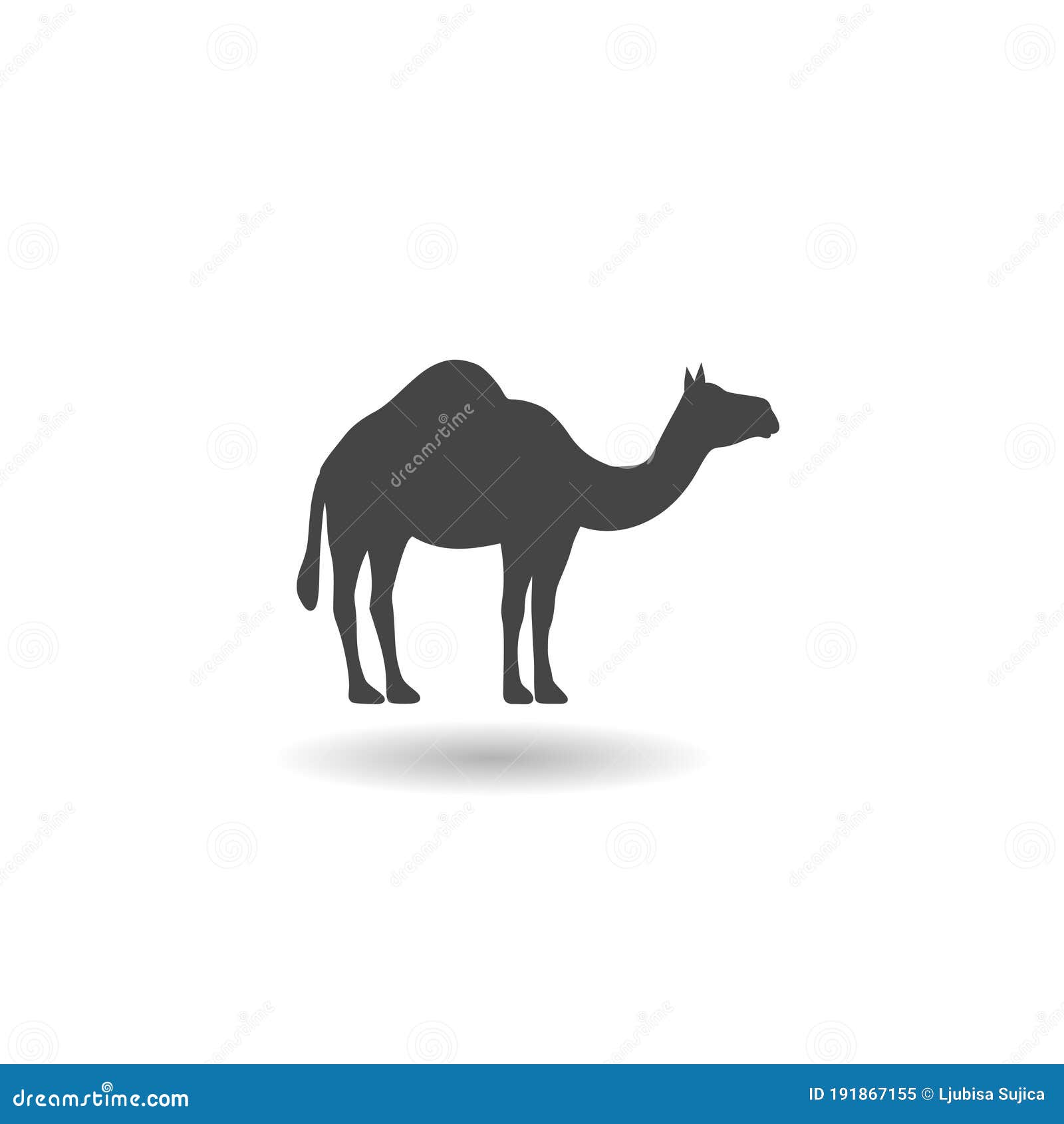 Desert Camel Icon with Shadow Stock Vector - Illustration of dromedary ...