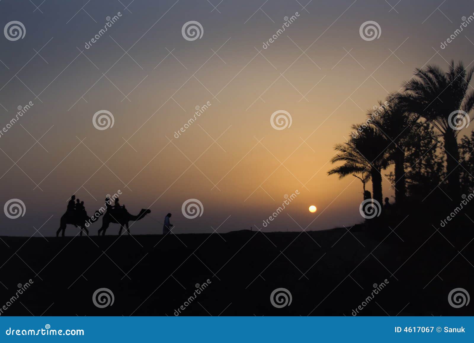 Desert Camel Train stock image. Image of adventure, arab - 4617067
