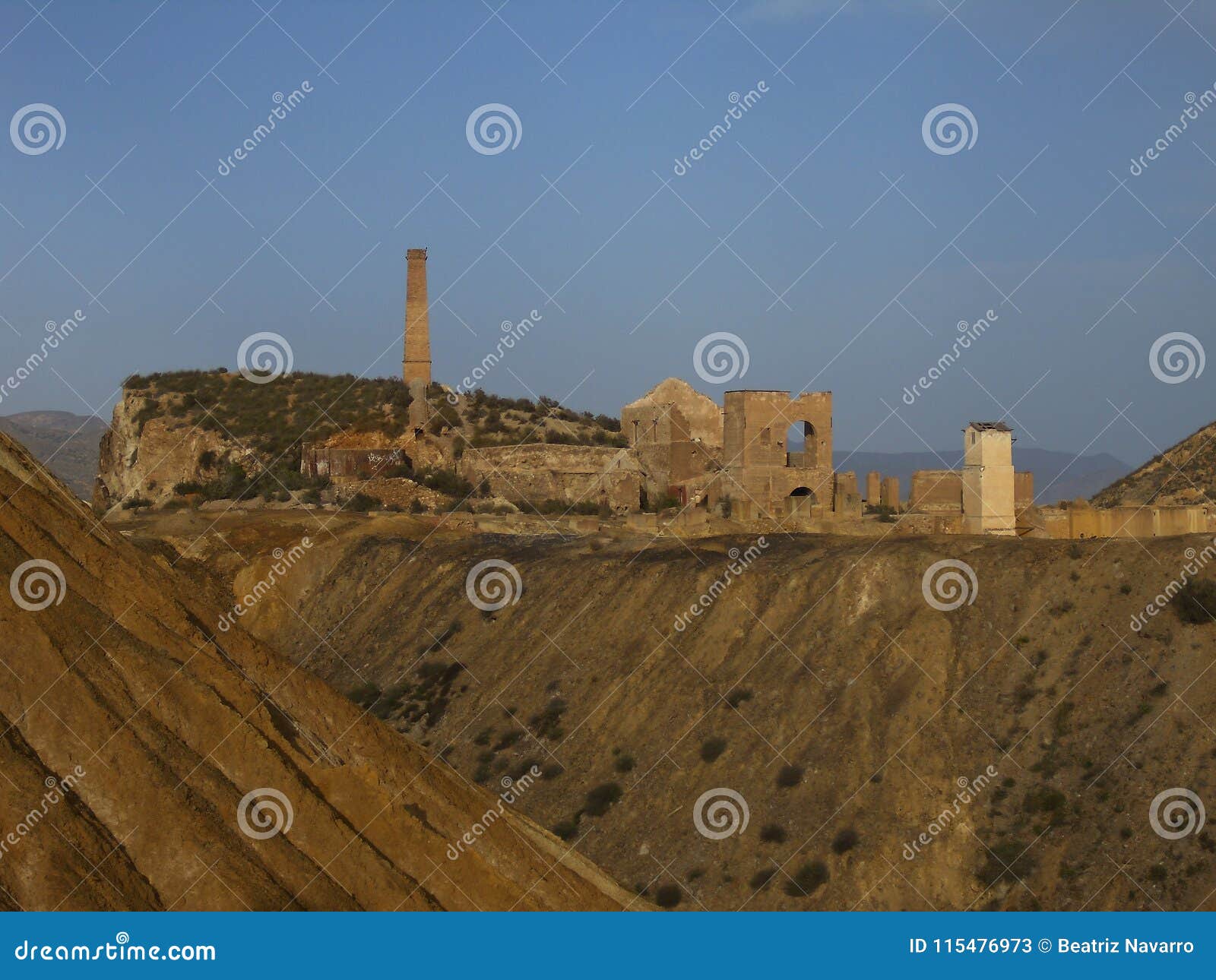 In the SECOND PLAN of the DESERT Stock Image - Image of brown, desert ...