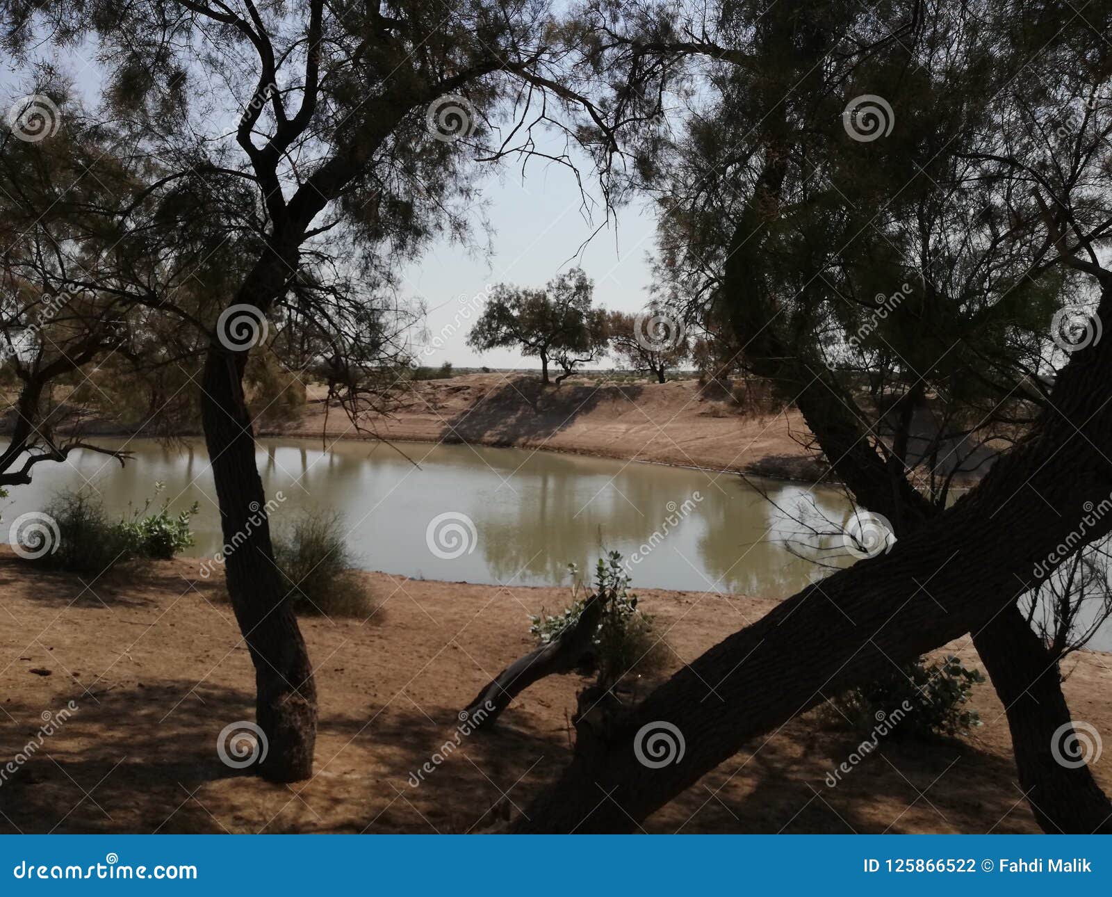 Desert stock photo. Image of pakistan, desert, rohi - 125866522