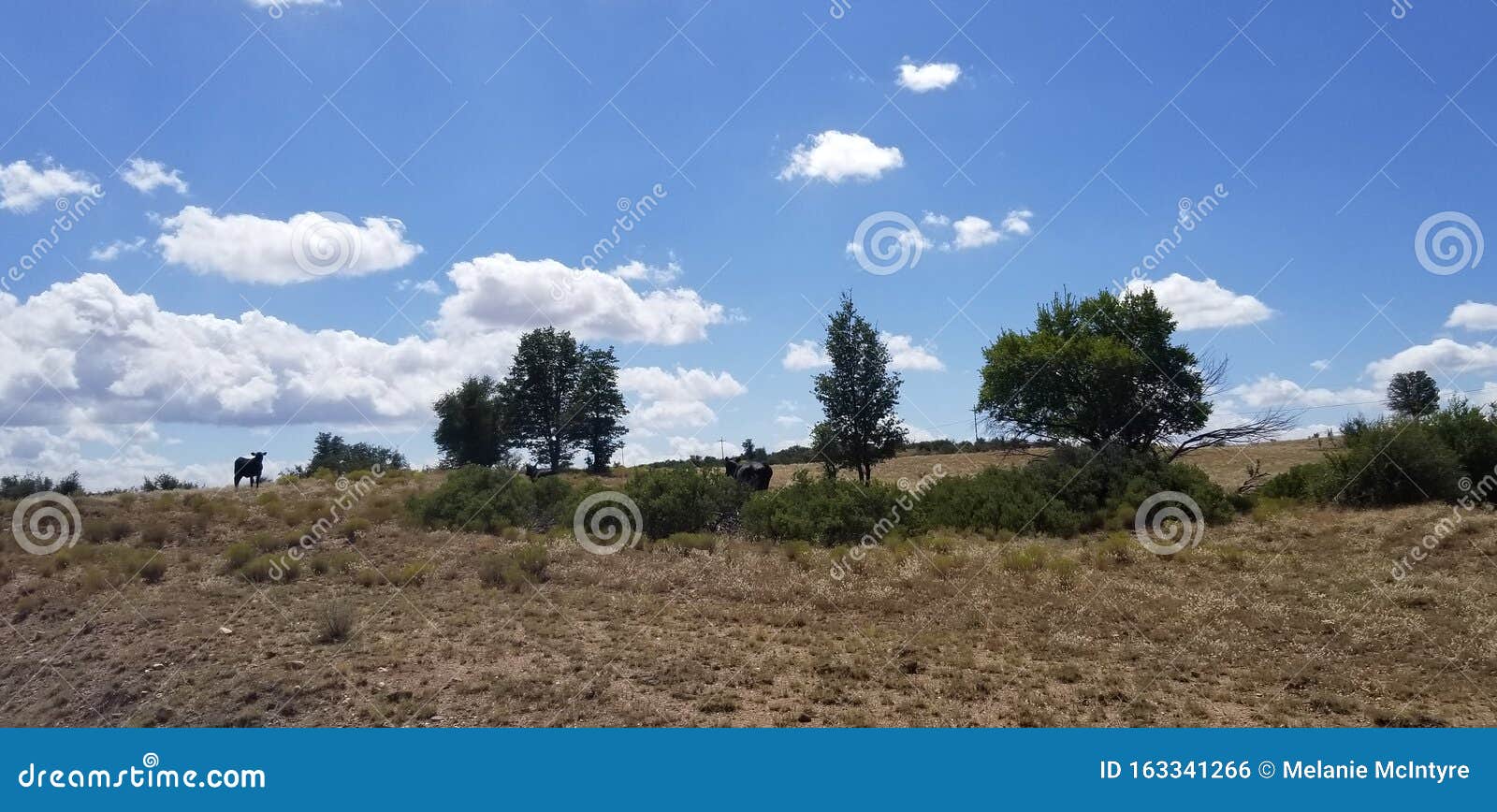 Desert clear skies stock photo. Image of grassland, hill - 163341266