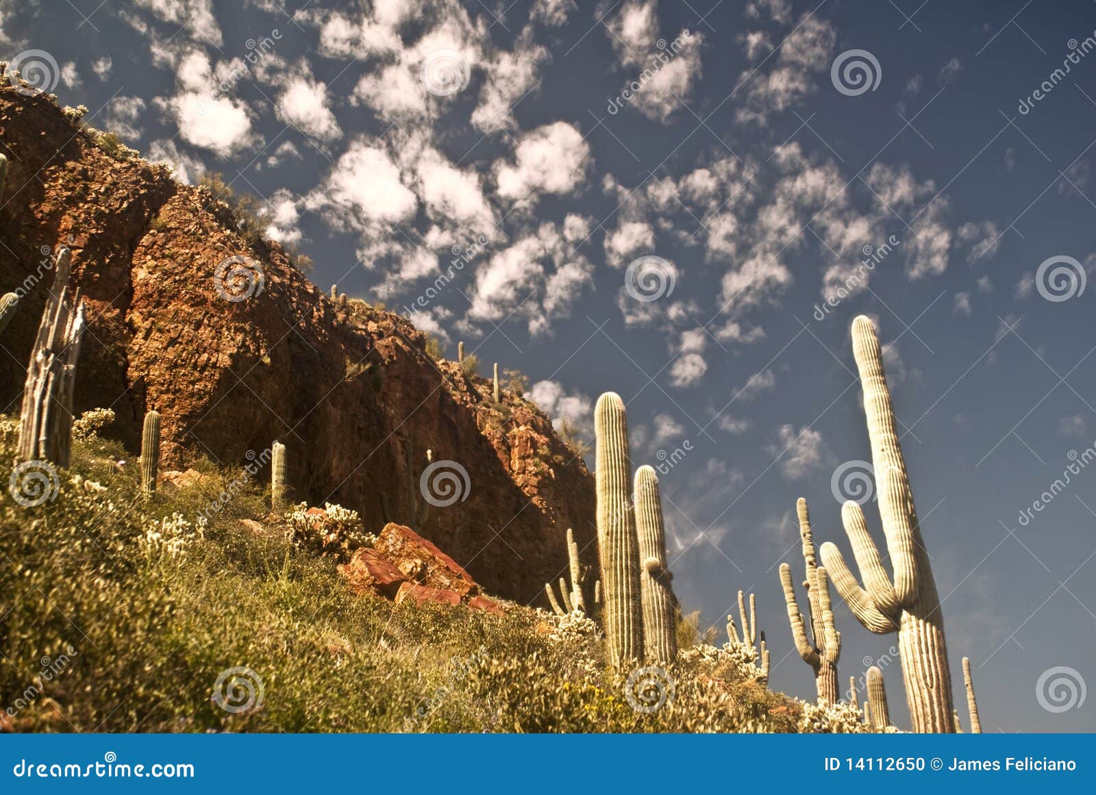 Desert Cliff stock photo. Image of arizona, cliffs, clouds - 14112650