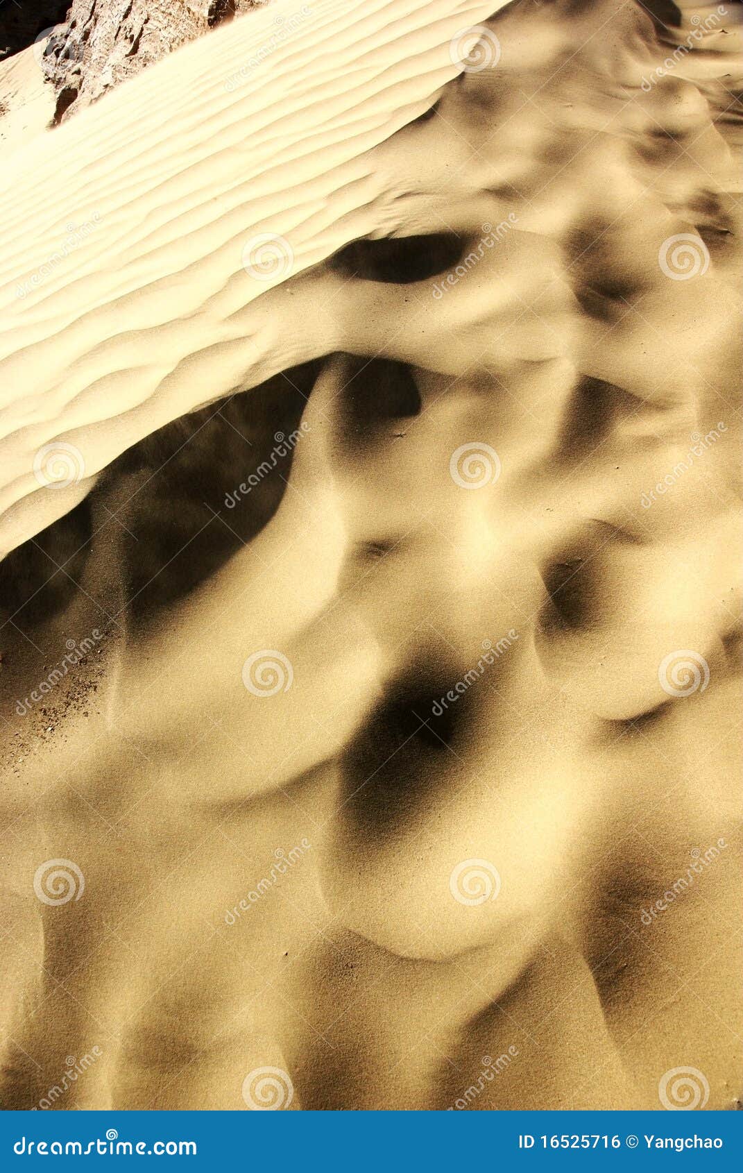 The desert close up stock photo. Image of droughty, fine - 16525716
