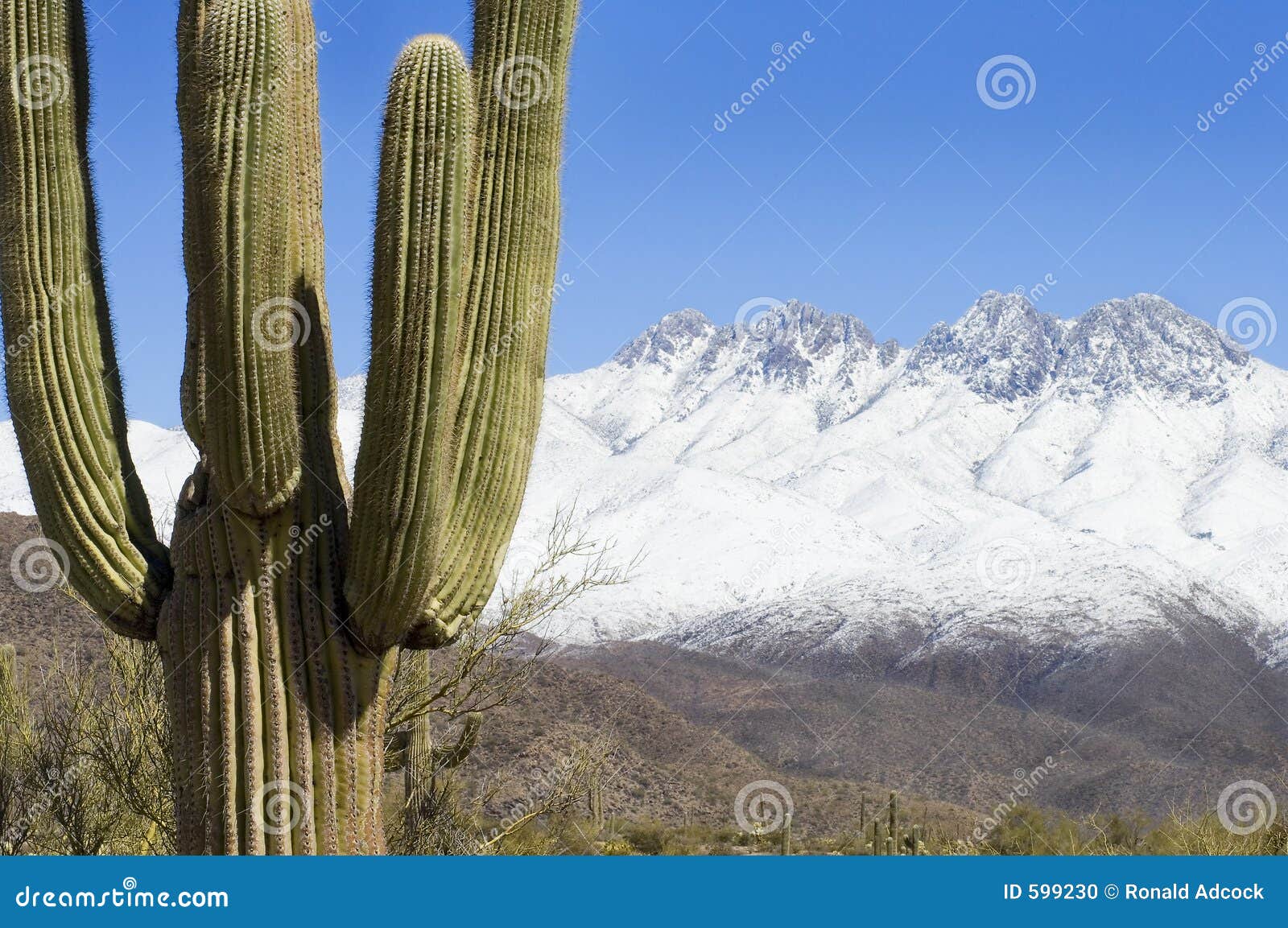 Desert Contrast stock photo. Image of cloudless, rock, landscape - 599230