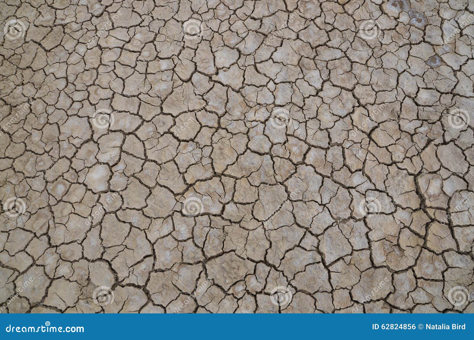 Desert. Cracks on the Ground Stock Photo - Image of land, cracks: 62824856