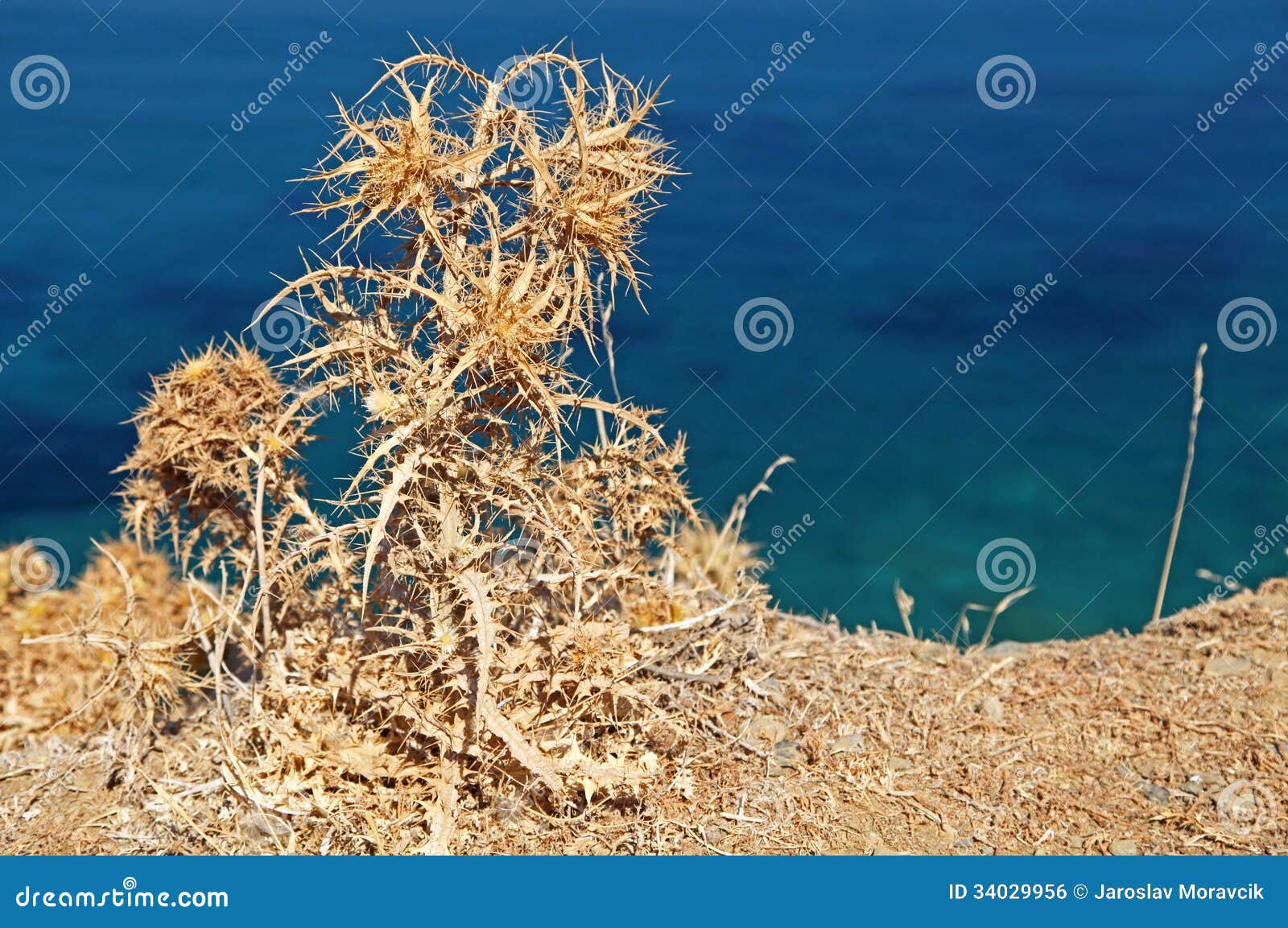 Desert at Crete stock photo. Image of stone, village - 34029956