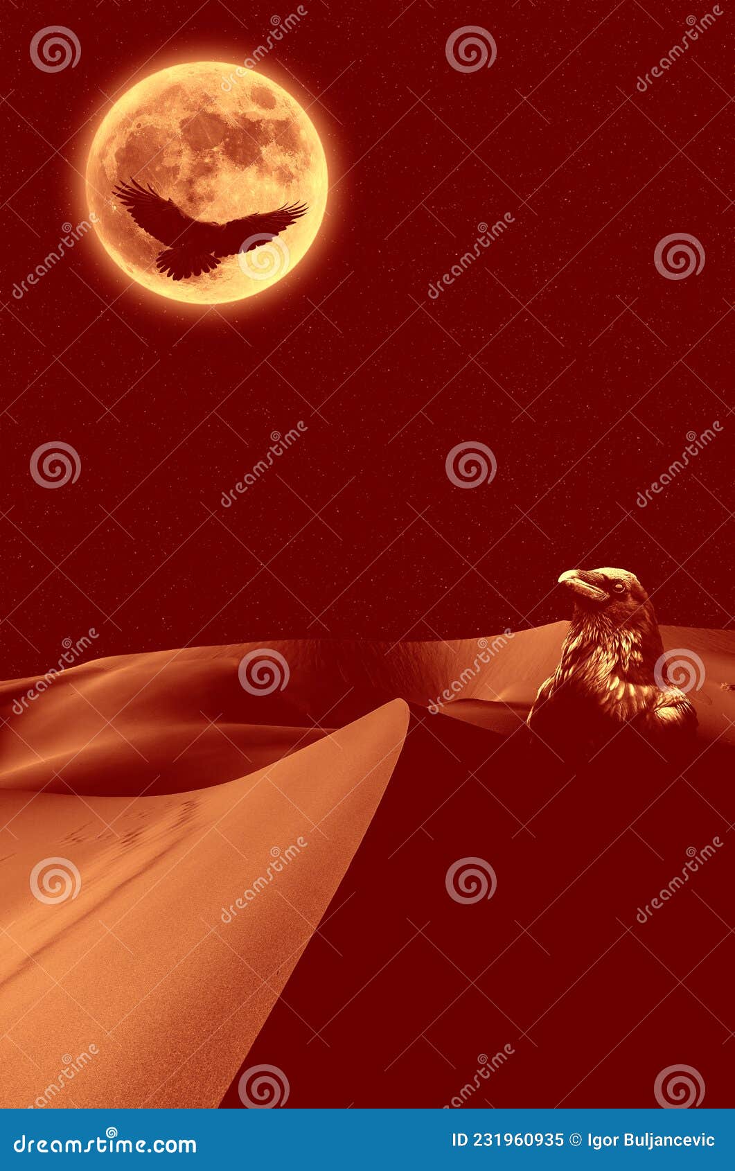 Crows and the Moon. Crows and Moon in Night Sky. Crows and Moon in ...