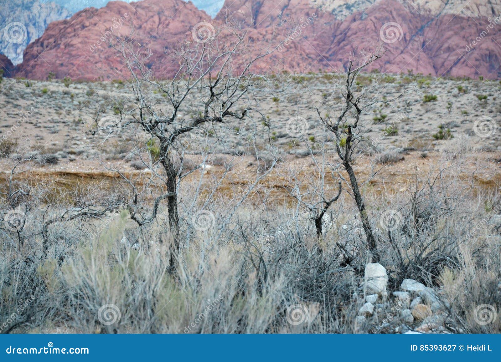 Desert With Dead Trees Against A Dramatic Red Sky Royalty-Free Stock ...