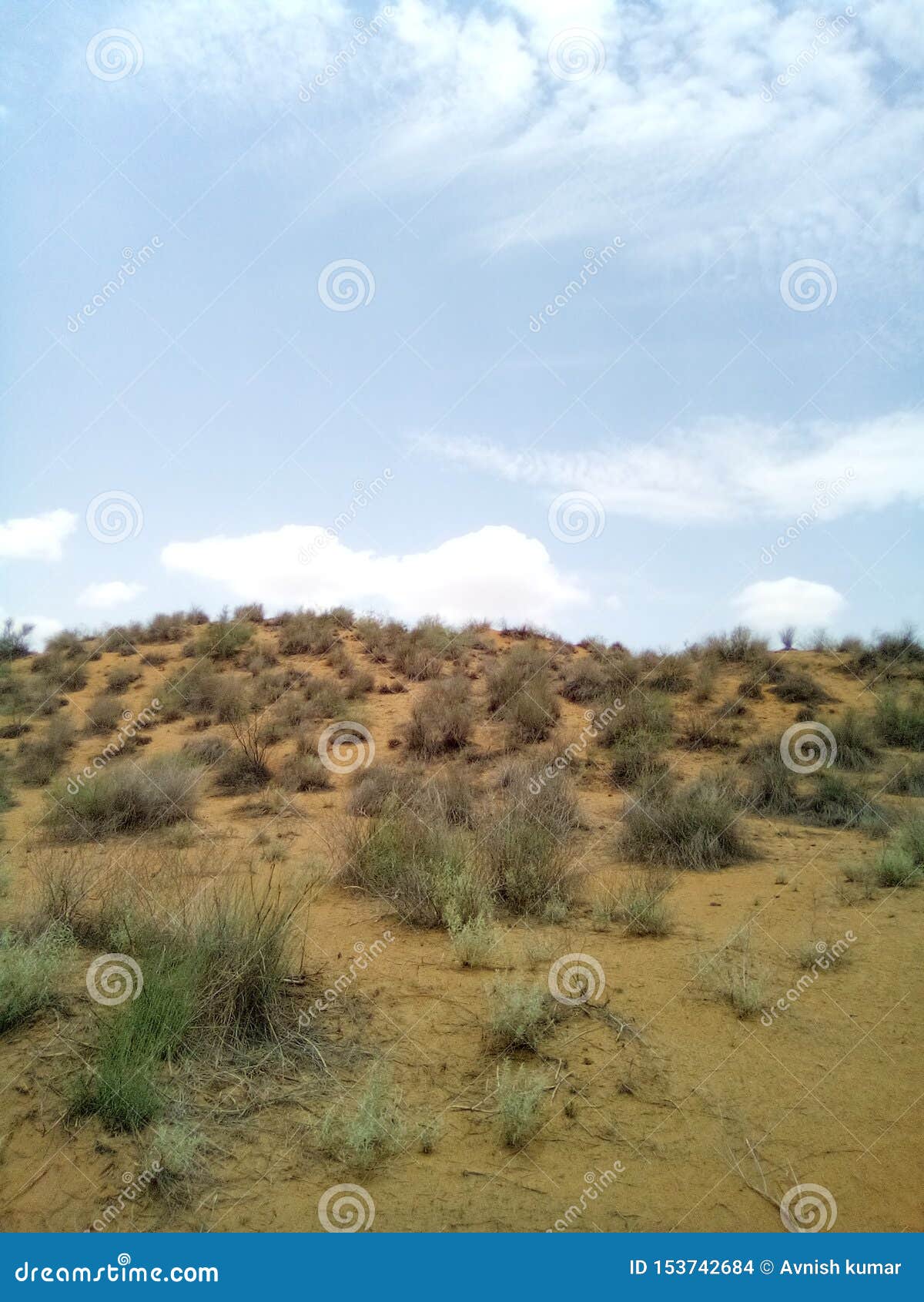 Desert in brambles stock photo. Image of clouds, bramble - 153742684