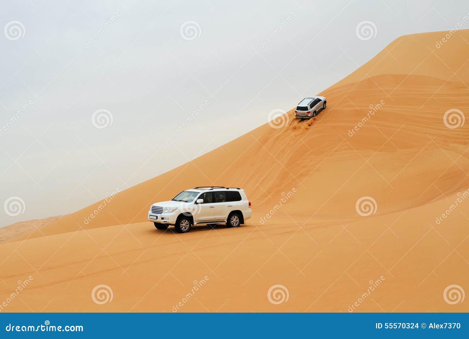 Desert driving stock photo. Image of driving, sahara - 55570324