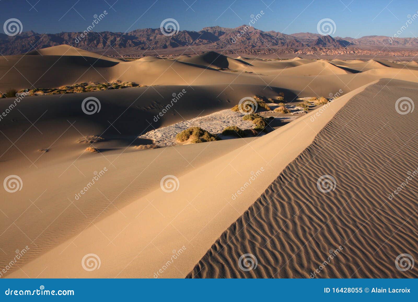 Desert dunes stock image. Image of deserts, infinite - 16428055