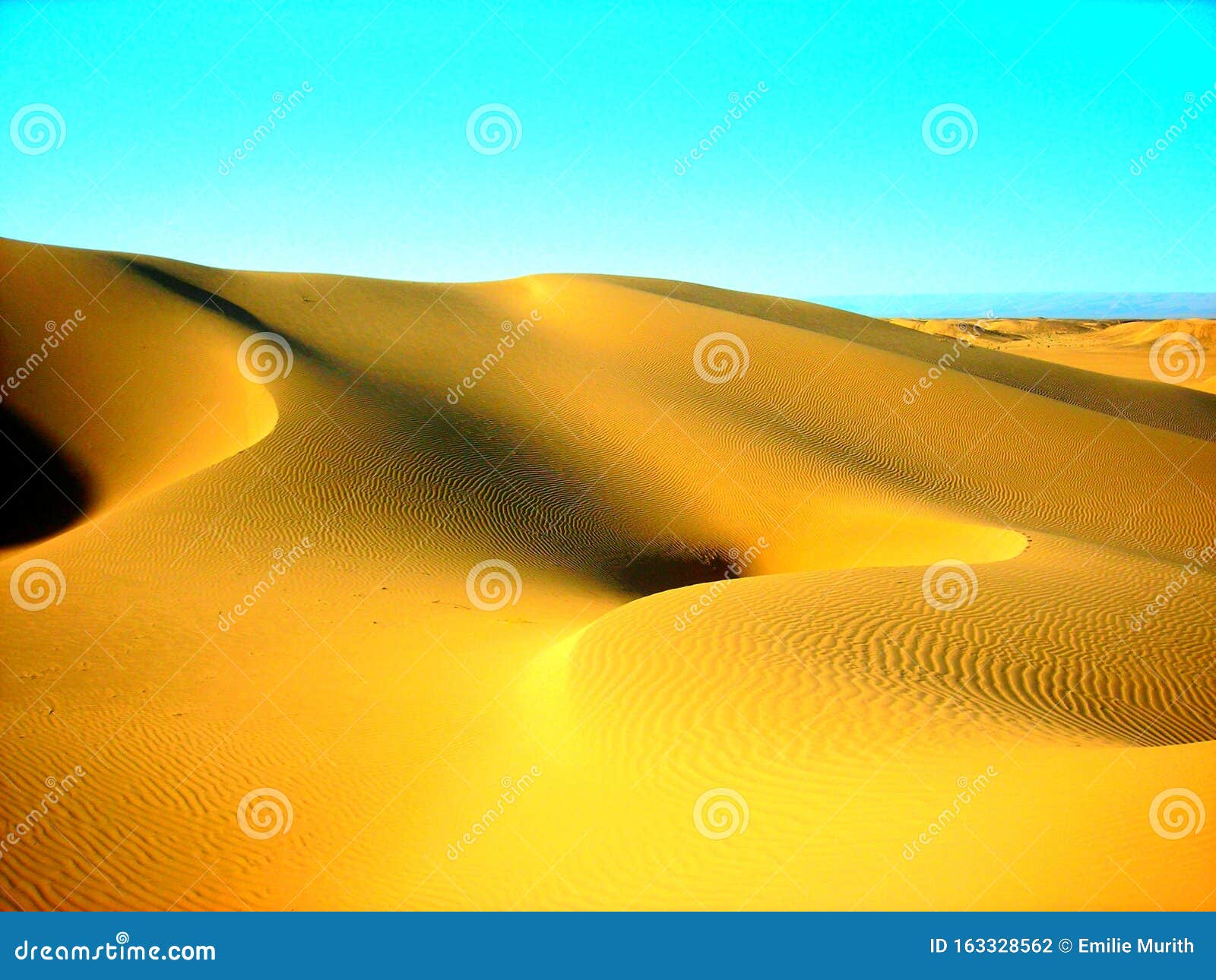 Desert, Dunes, Sahara, with a Blue Sky on a Sunny Day. Stock Photo ...