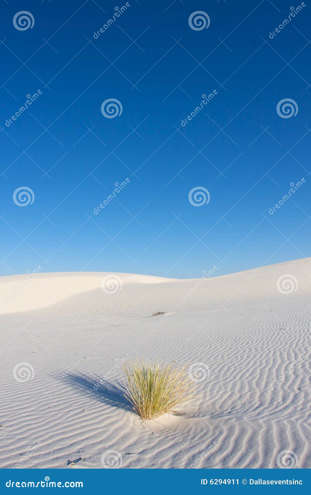 Desert in the Early Morning Hours Stock Image - Image of path, lonely ...