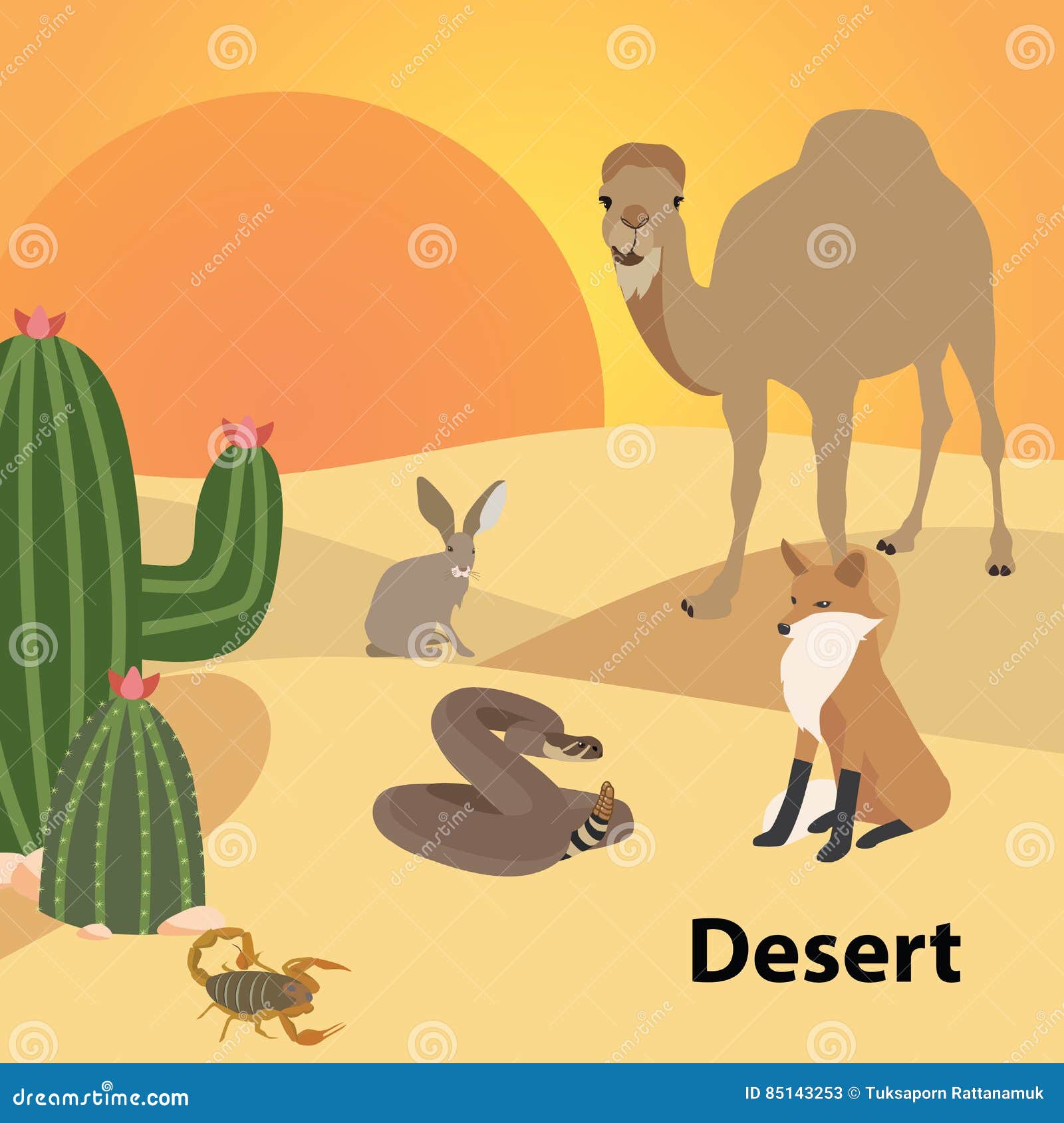 Desert Life Style Stock Illustrations – 2,393 Desert Life Style Stock ...