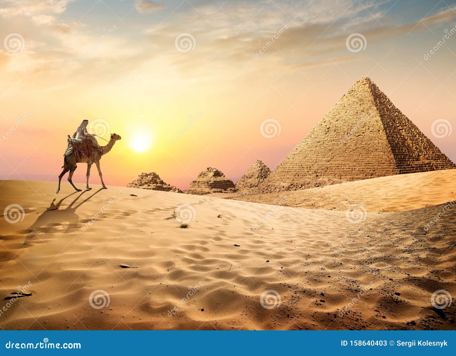 Desert in Egypt stock image. Image of animals, pyramid - 158640403