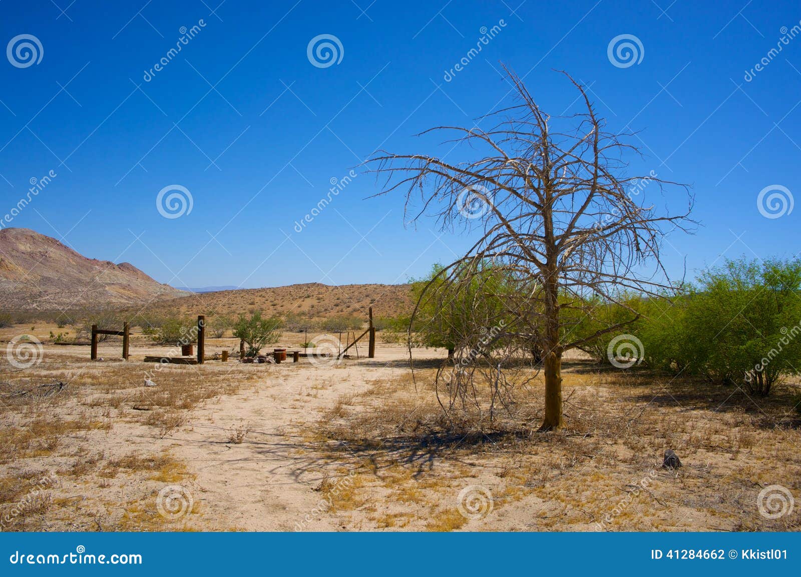Desert Farm Yard stock photo. Image of california, dead - 41284662