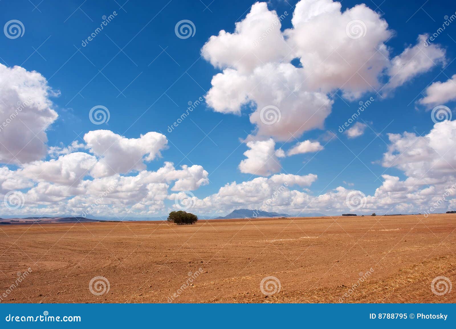 Desert Field Under Majestic Skies Stock Image - Image of agriculture ...