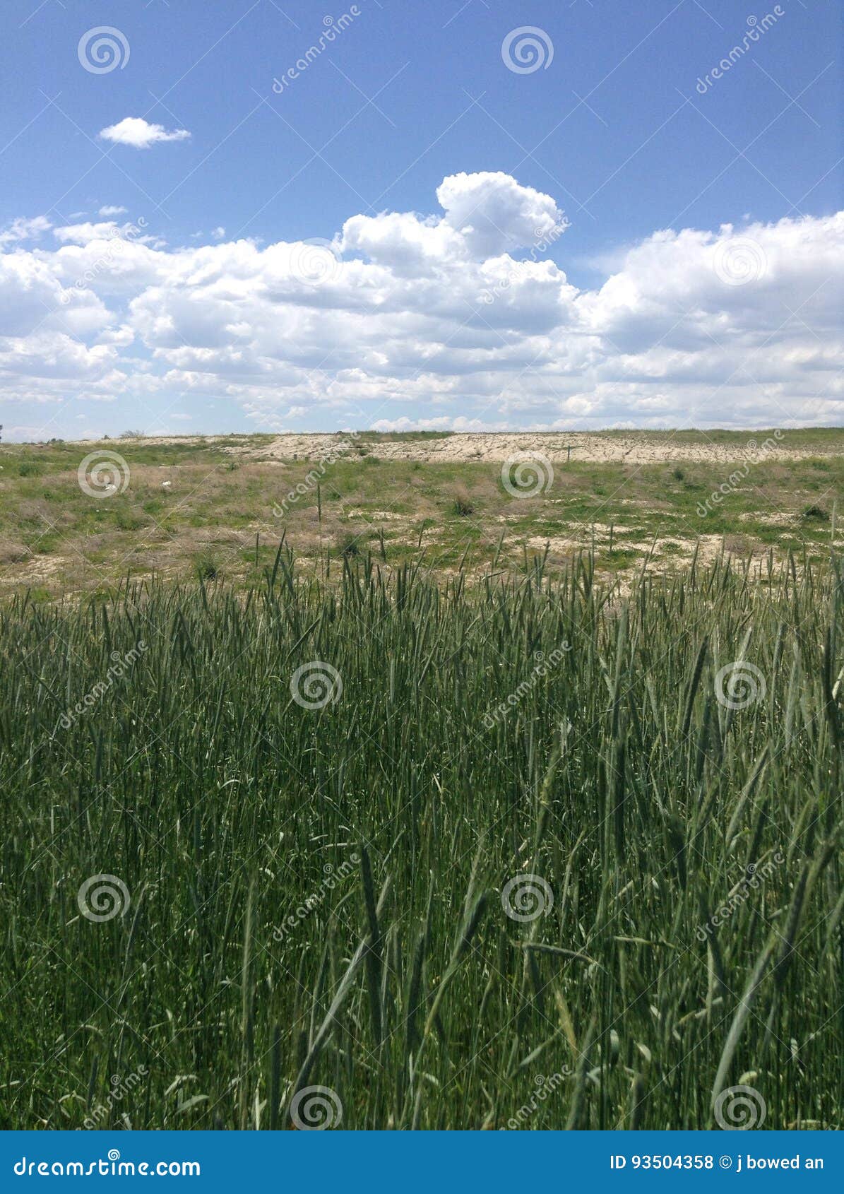 Desert field stock photo. Image of utah, field, desert - 93504358