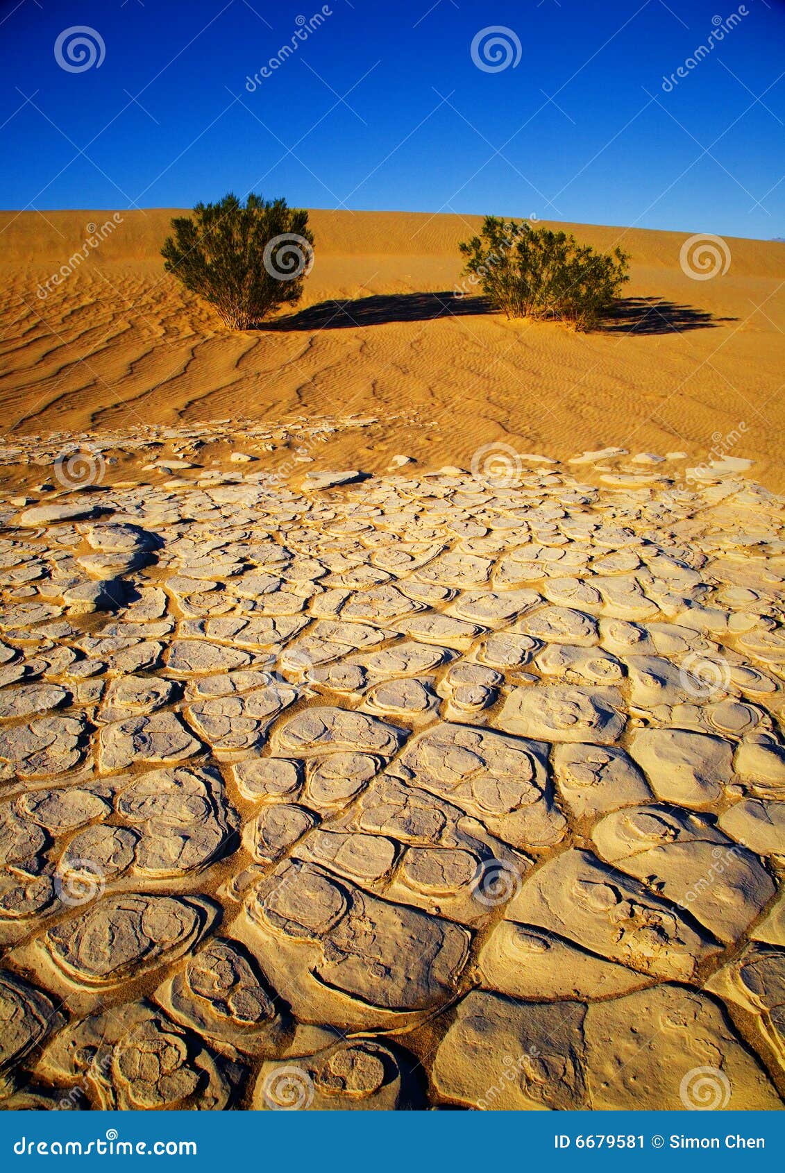 Desert Floor stock image. Image of landmarks, parks, dunes - 6679581