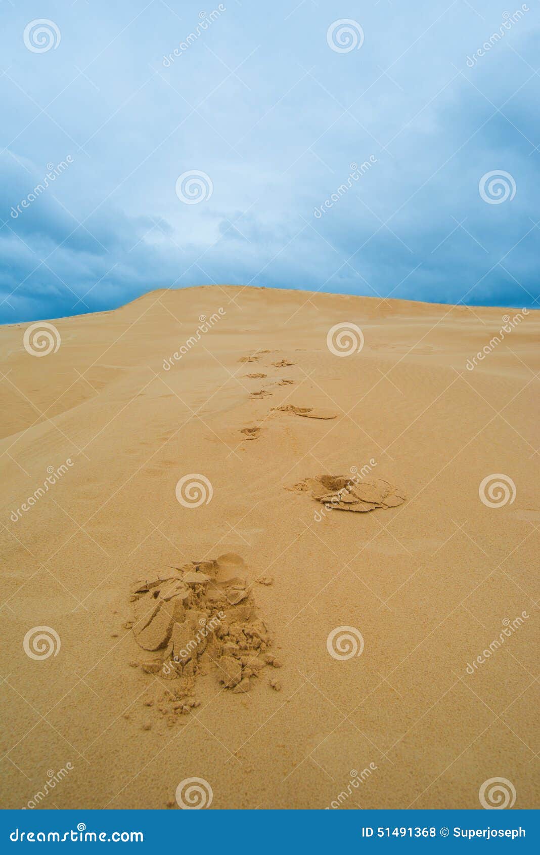 Desert footprints stock photo. Image of nature, sahara - 51491368