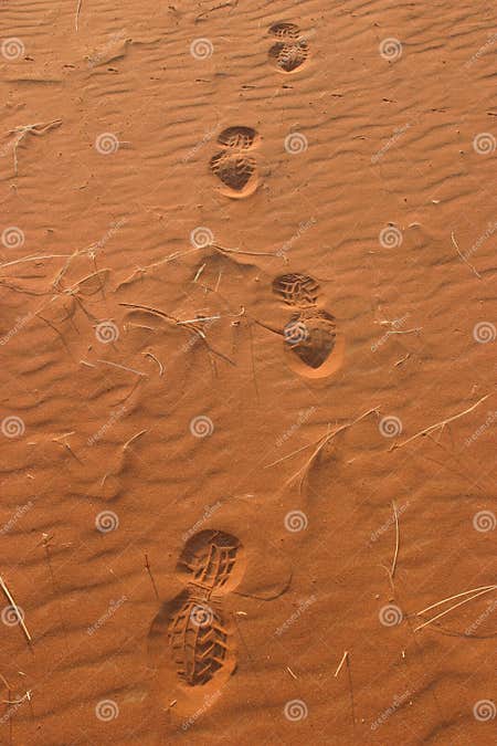 Desert footsteps stock image. Image of colour, lonely - 4704839
