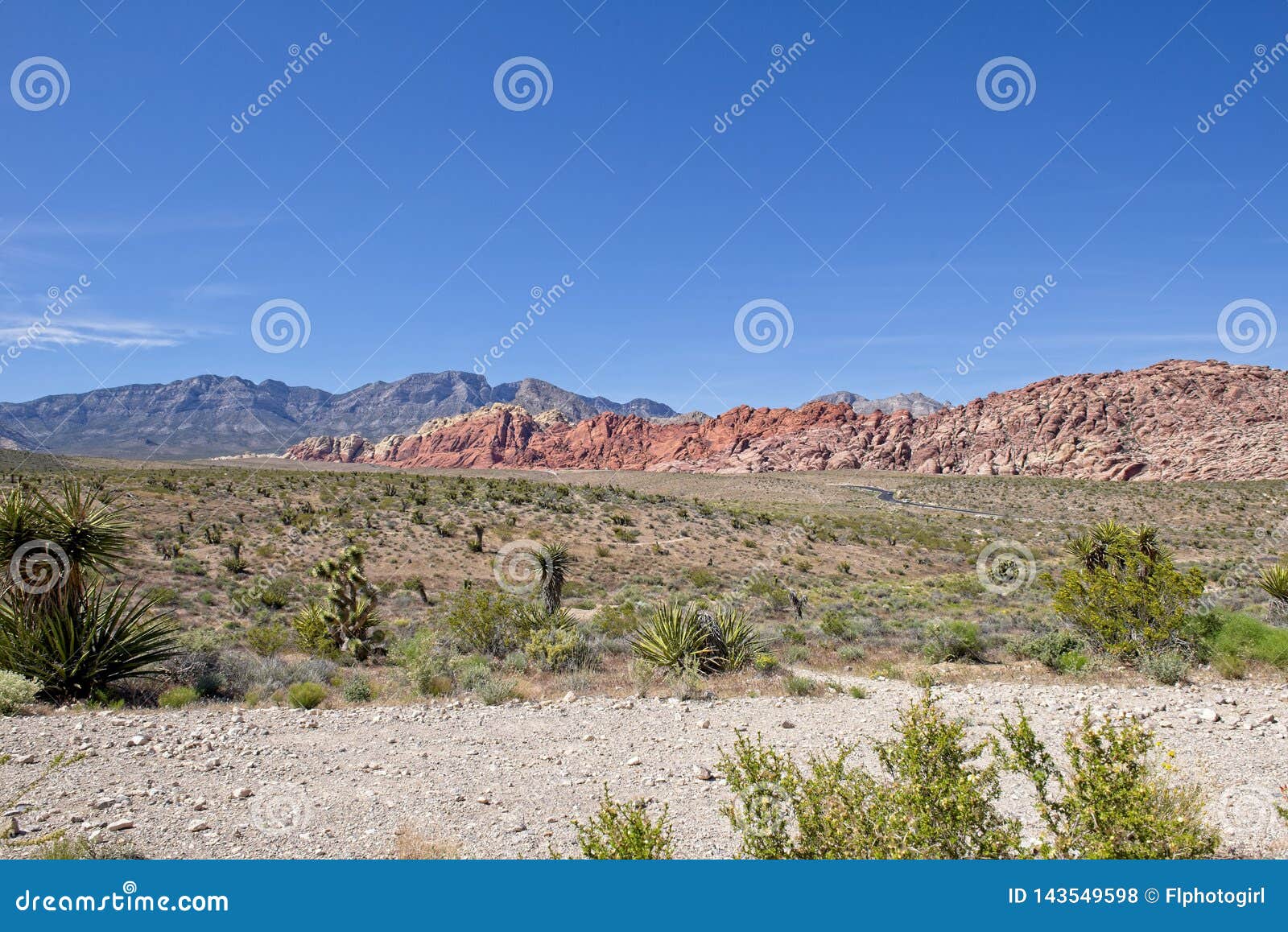 Sprawling Mountains in the Desert at Red Rock Canyon Nature Conservancy ...